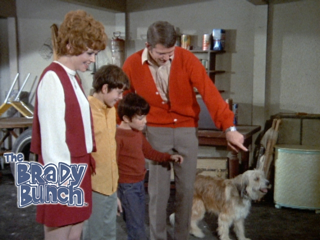 Tiger Brady Bunch