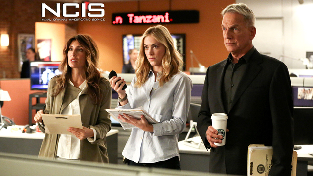 Ncis Season 9 Episodes Summary - bearscritsong