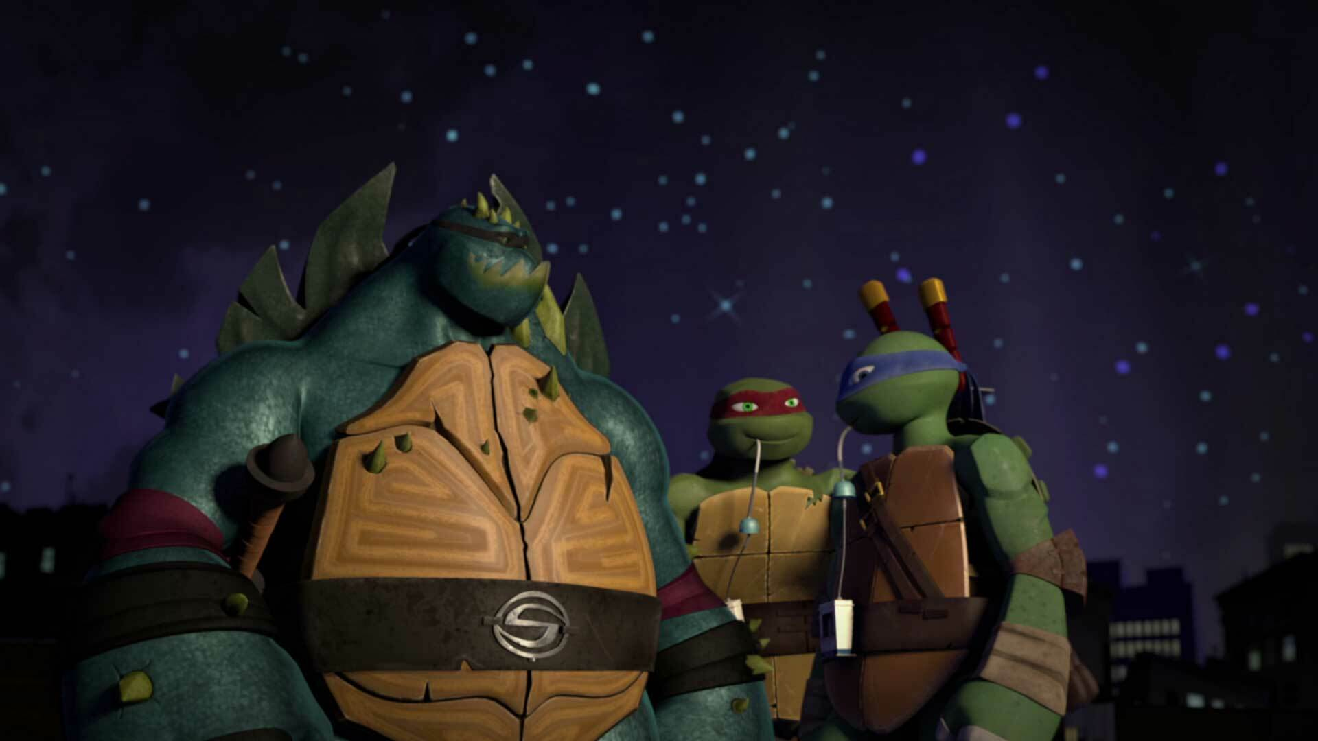 Teenage Mutant Ninja Turtles 2012 Slash