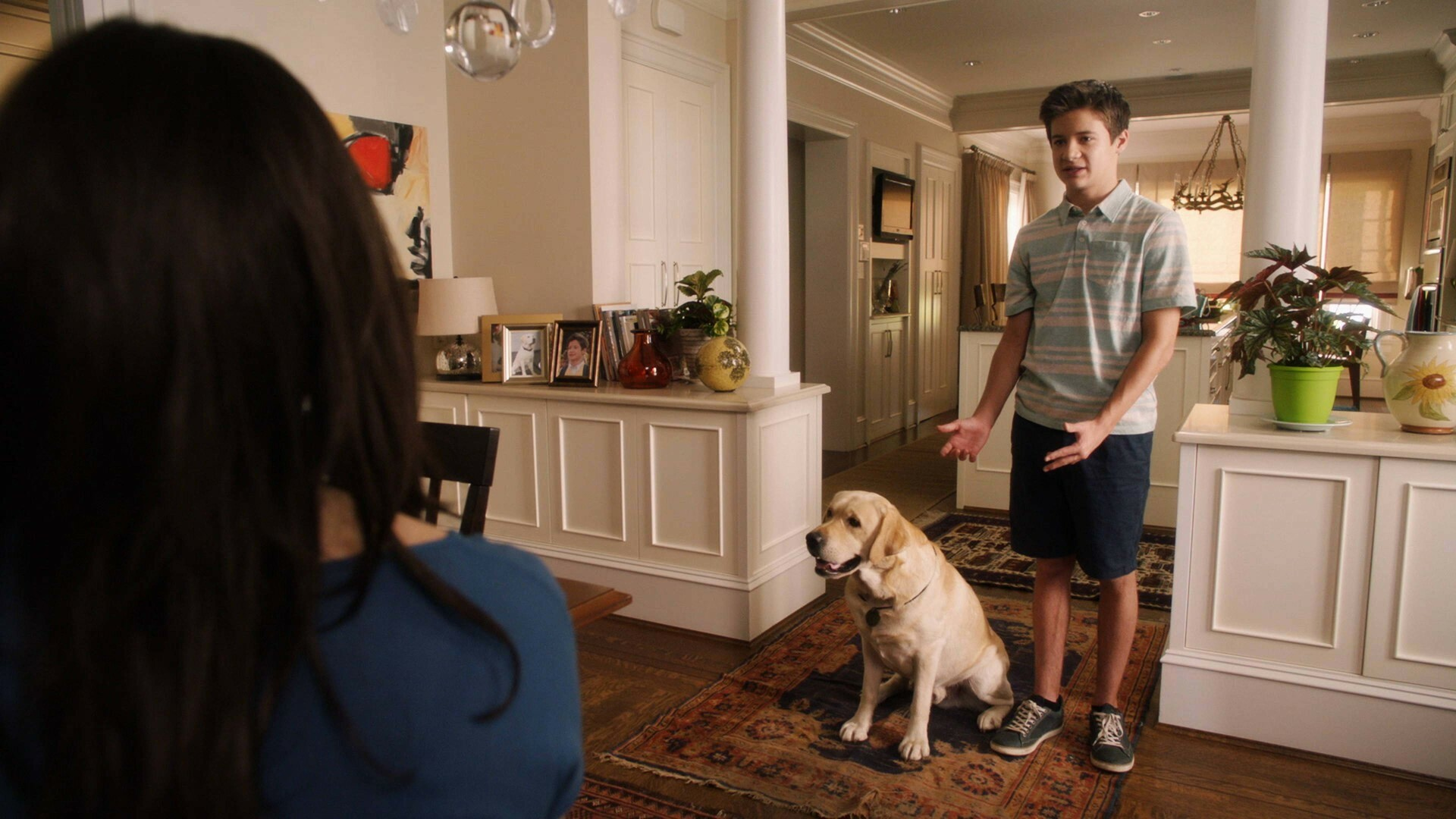 Rufus 2 - Watch Full Movie on Paramount+ United Kingdom