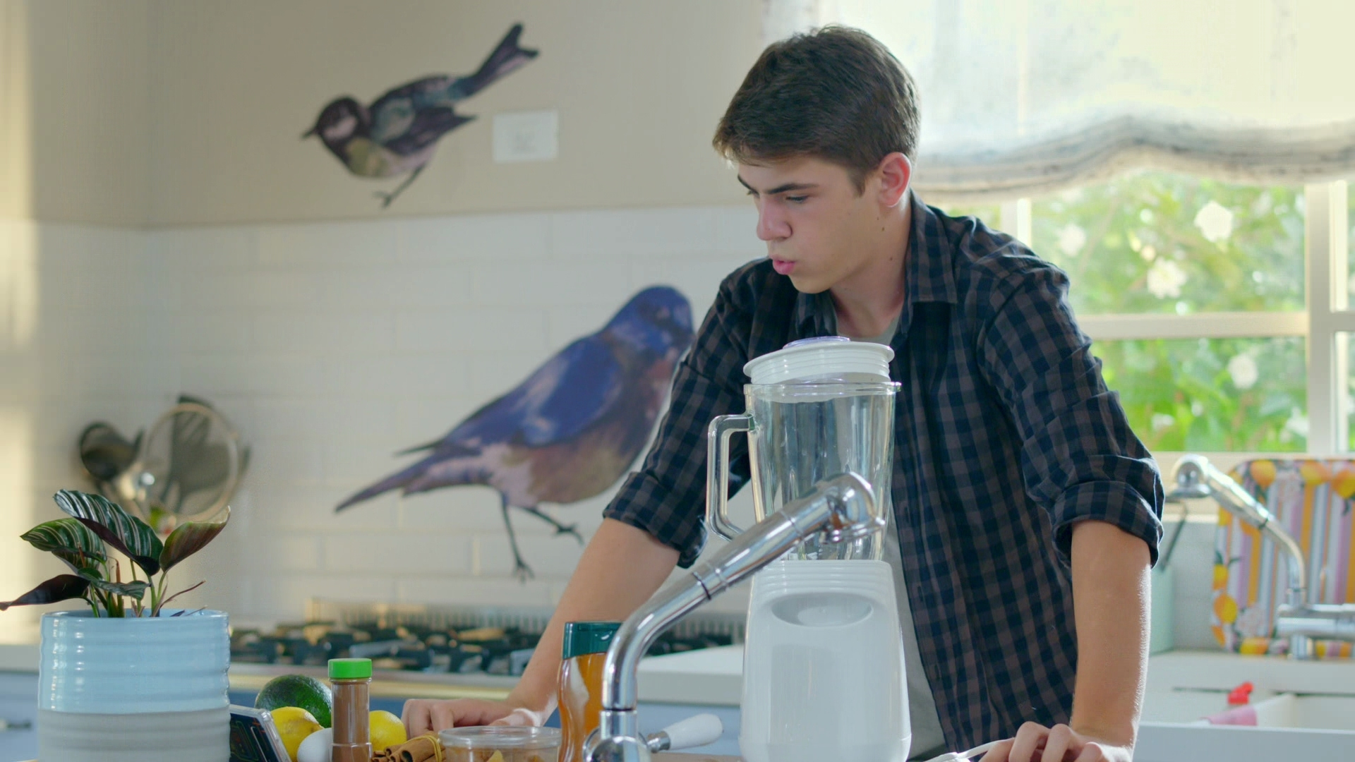 Watch Spyders: Spyders - Critical Information - Full Show on Paramount+ ...