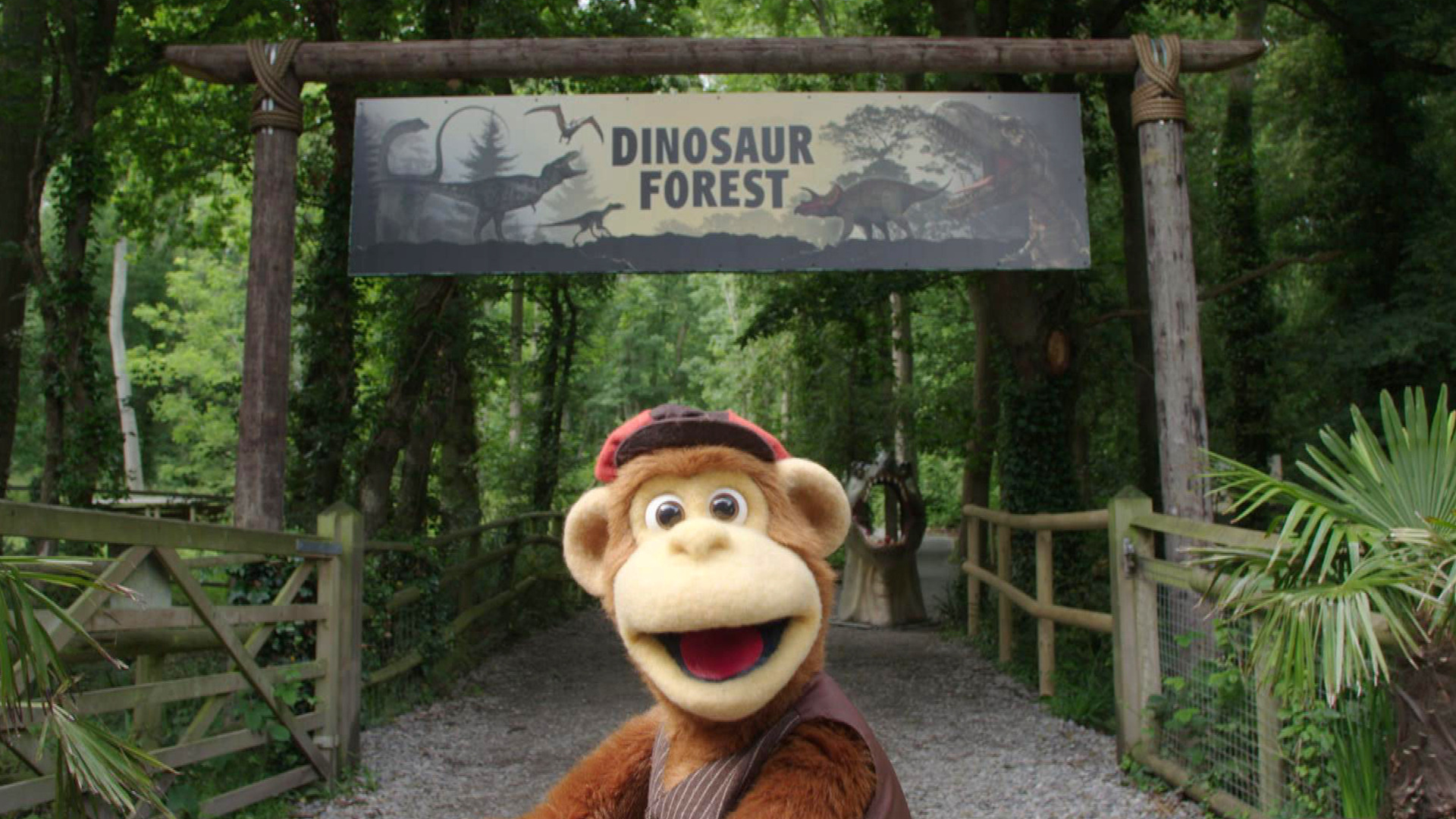 Watch Milkshake! Monkey: Milkshake! Monkey - Circus - Full Show on ...