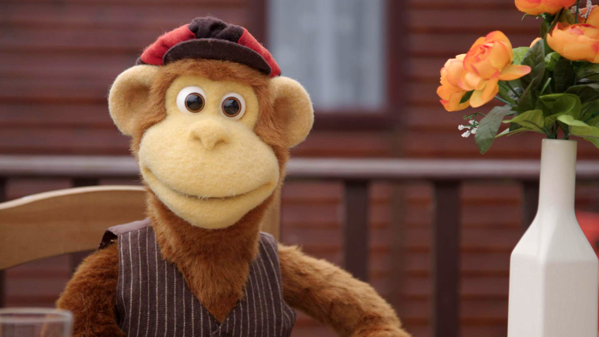 Watch Milkshake! Monkey: Milkshake! Monkey - Sleep Over - Full Show on ...