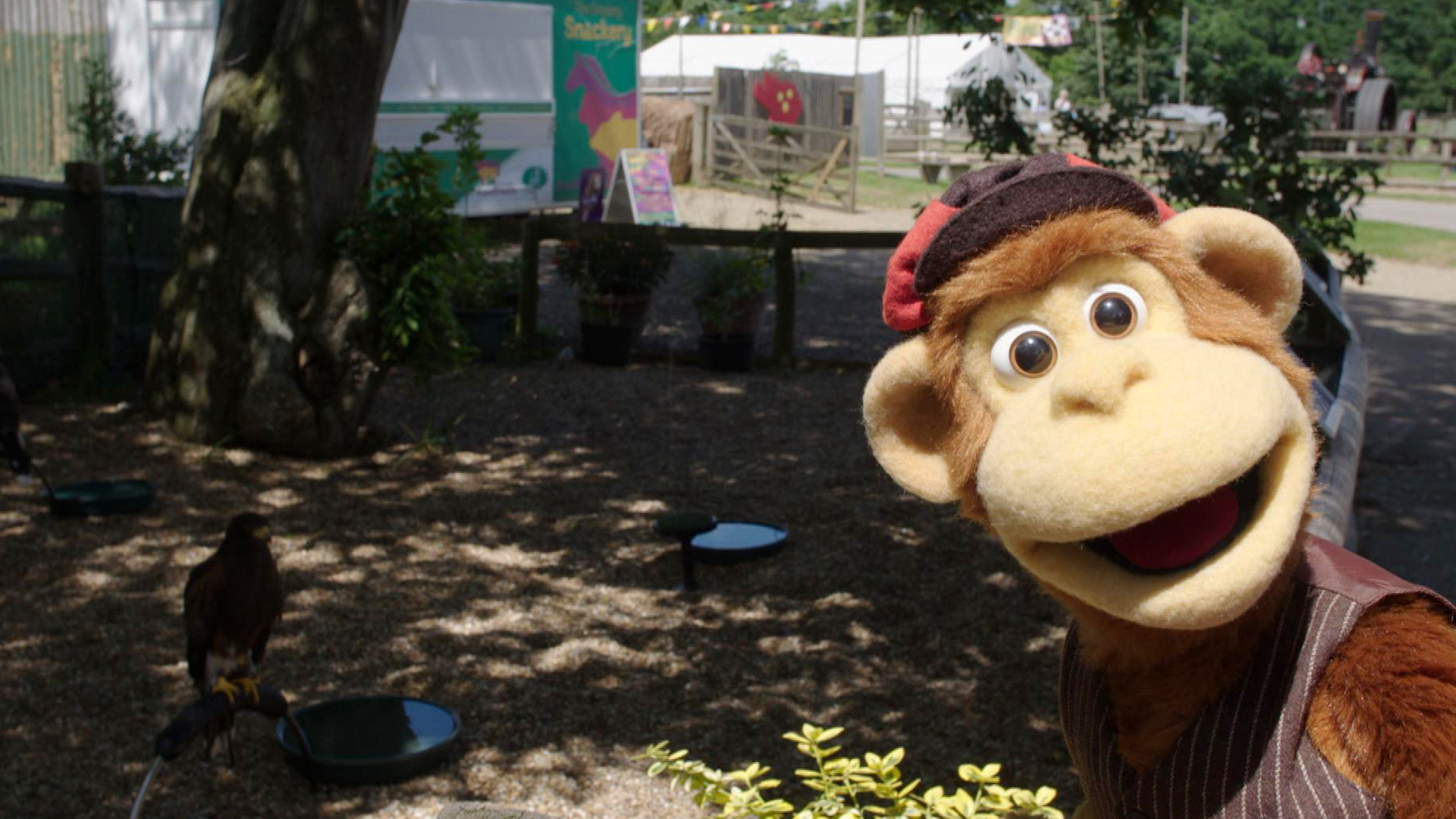 Watch Milkshake! Monkey: Milkshake! Monkey - Scavenger Hunt - Full Show ...