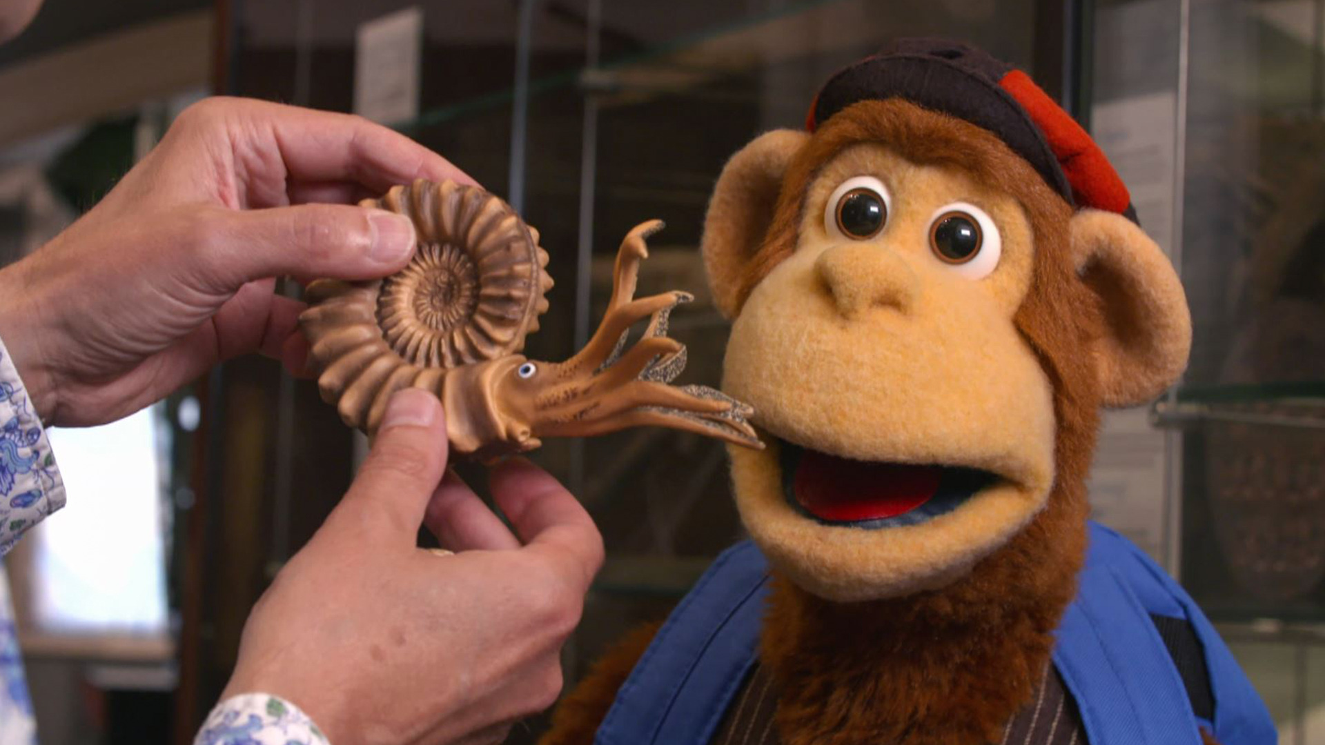 Watch Milkshake! Monkey's Amazing Adventures: Milkshake! Monkey's ...