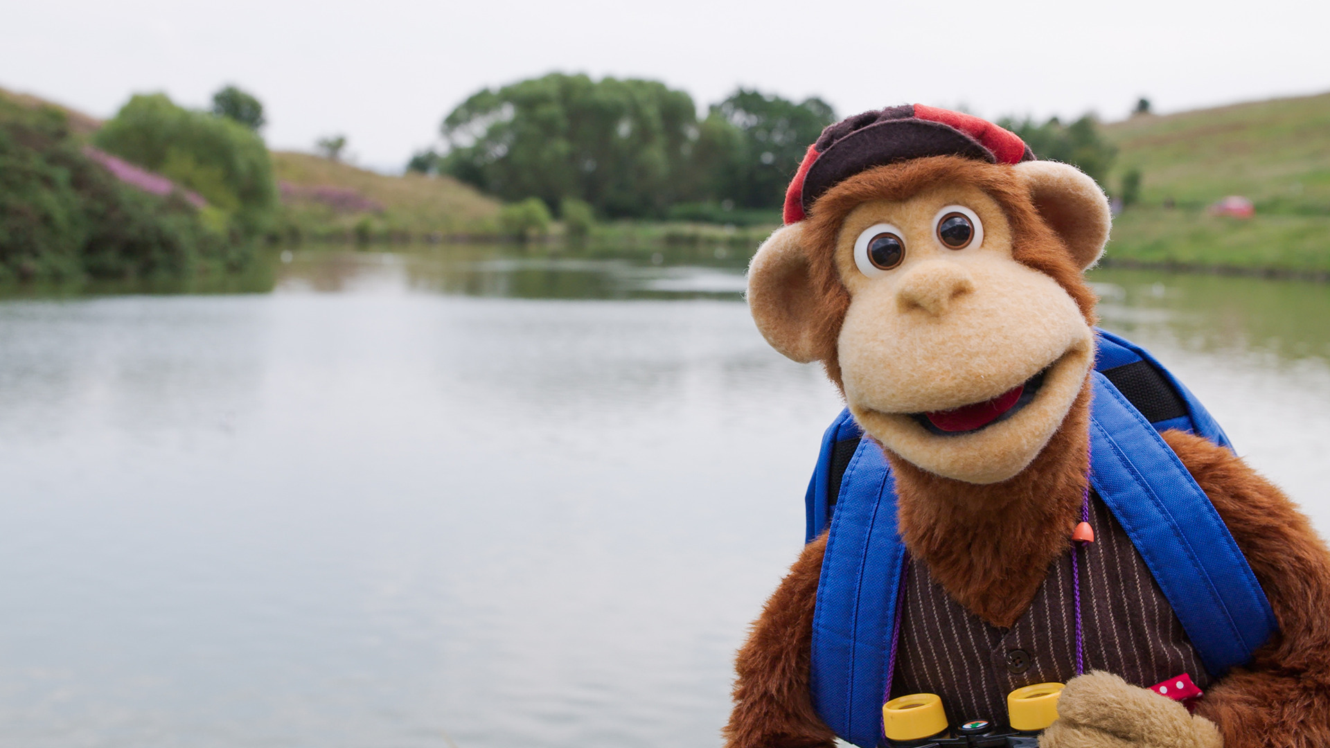 Watch Milkshake! Monkey's Amazing Adventures: Milkshake! Monkey's ...