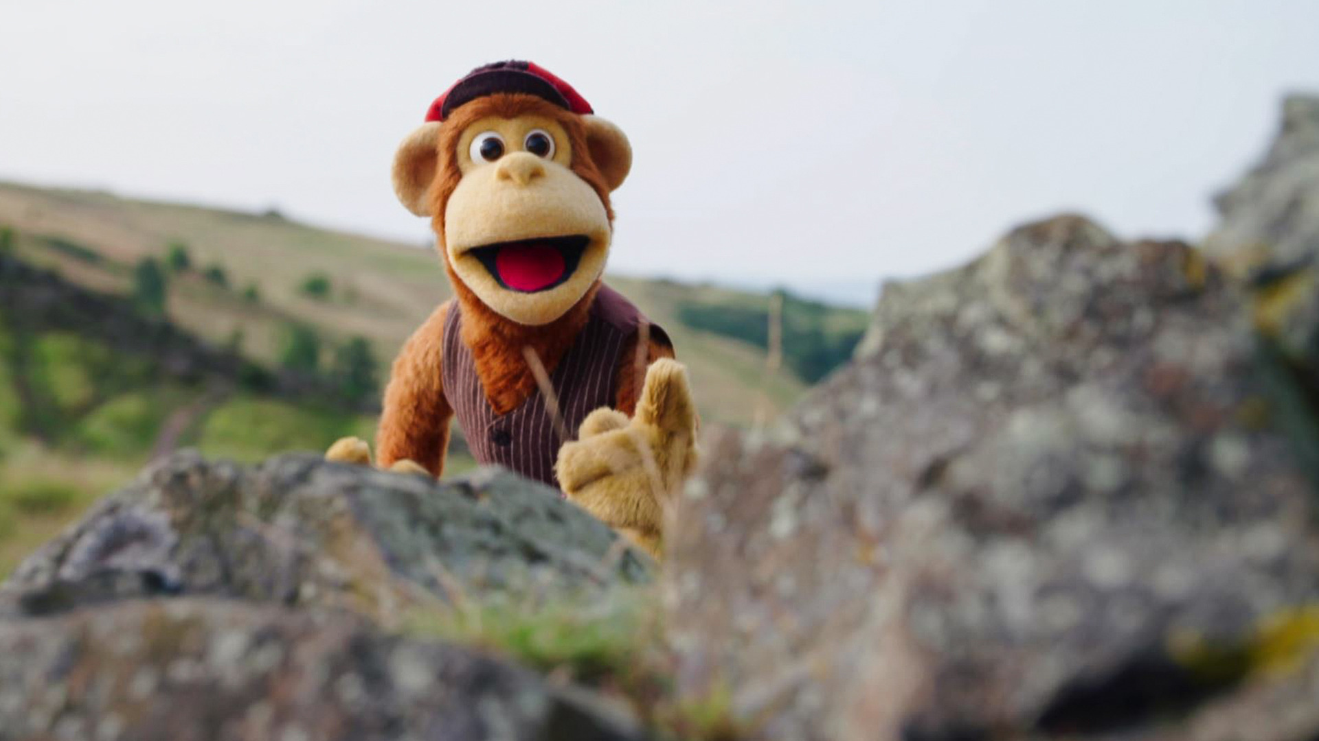 Watch Milkshake! Monkey's Amazing Adventures: Milkshake! Monkey's ...