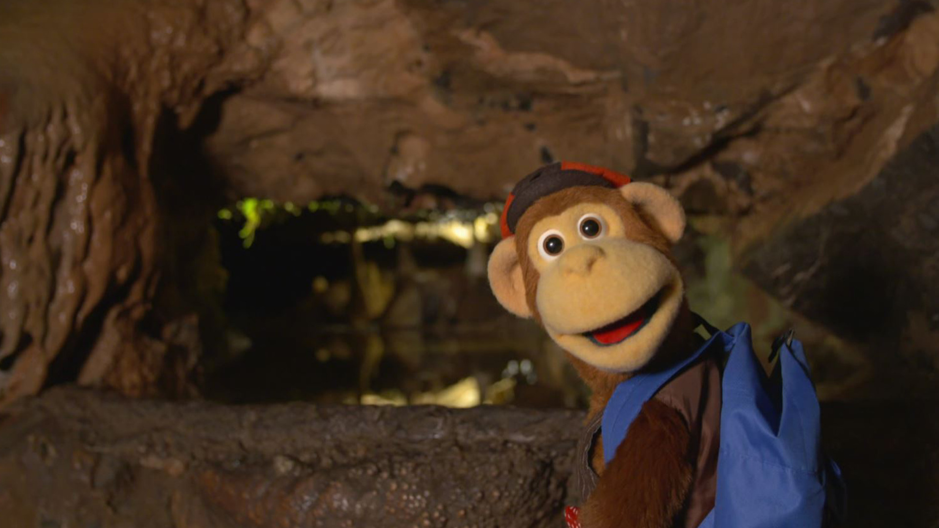 Watch Milkshake! Monkey's Amazing Adventures: Milkshake! Monkey's ...