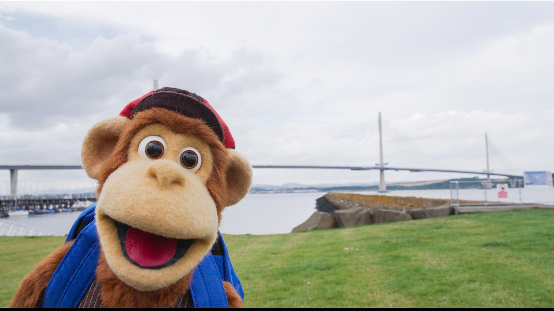 Watch Milkshake! Monkey's Amazing Adventures: Milkshake! Monkey's ...