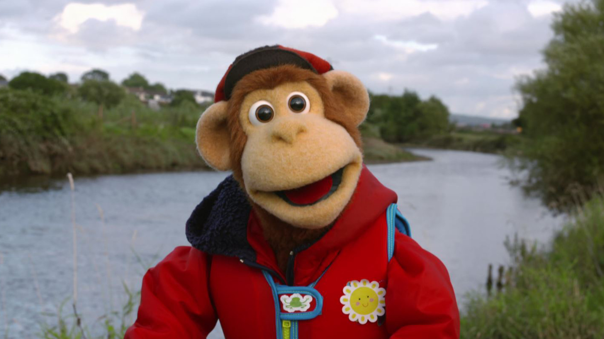 Watch Milkshake! Monkey's Amazing Adventures: Milkshake! Monkey's ...