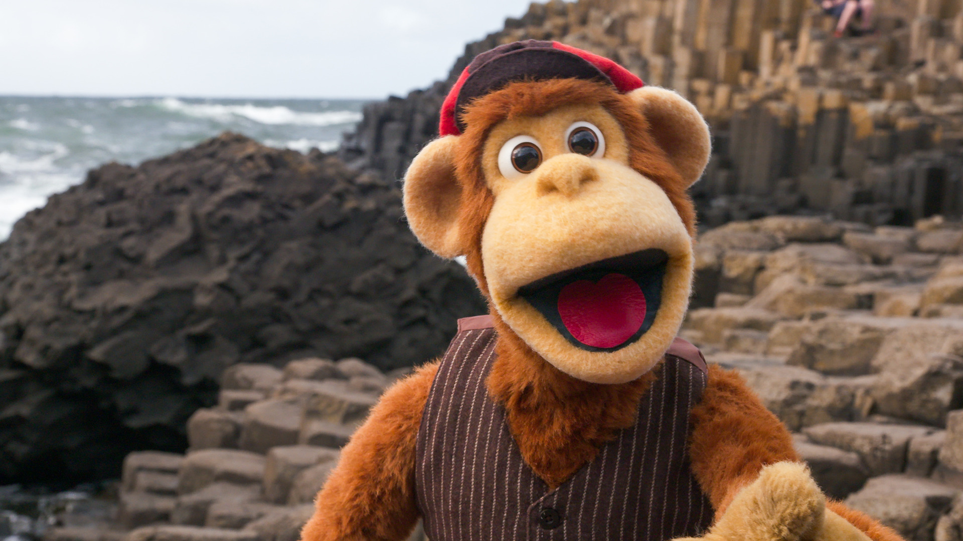 Watch Milkshake! Monkey's Amazing Adventures Season 1 Episode 13: Rocks ...