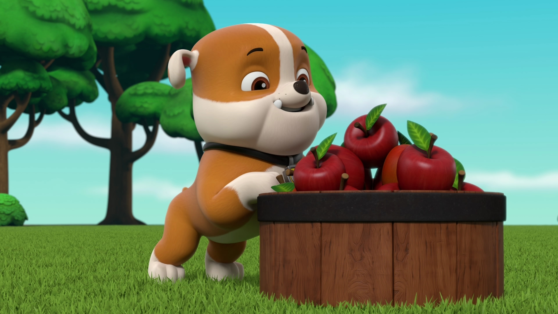 Los Cachorros De La Patrulla Canina Salvan La Granja Paw Patrol