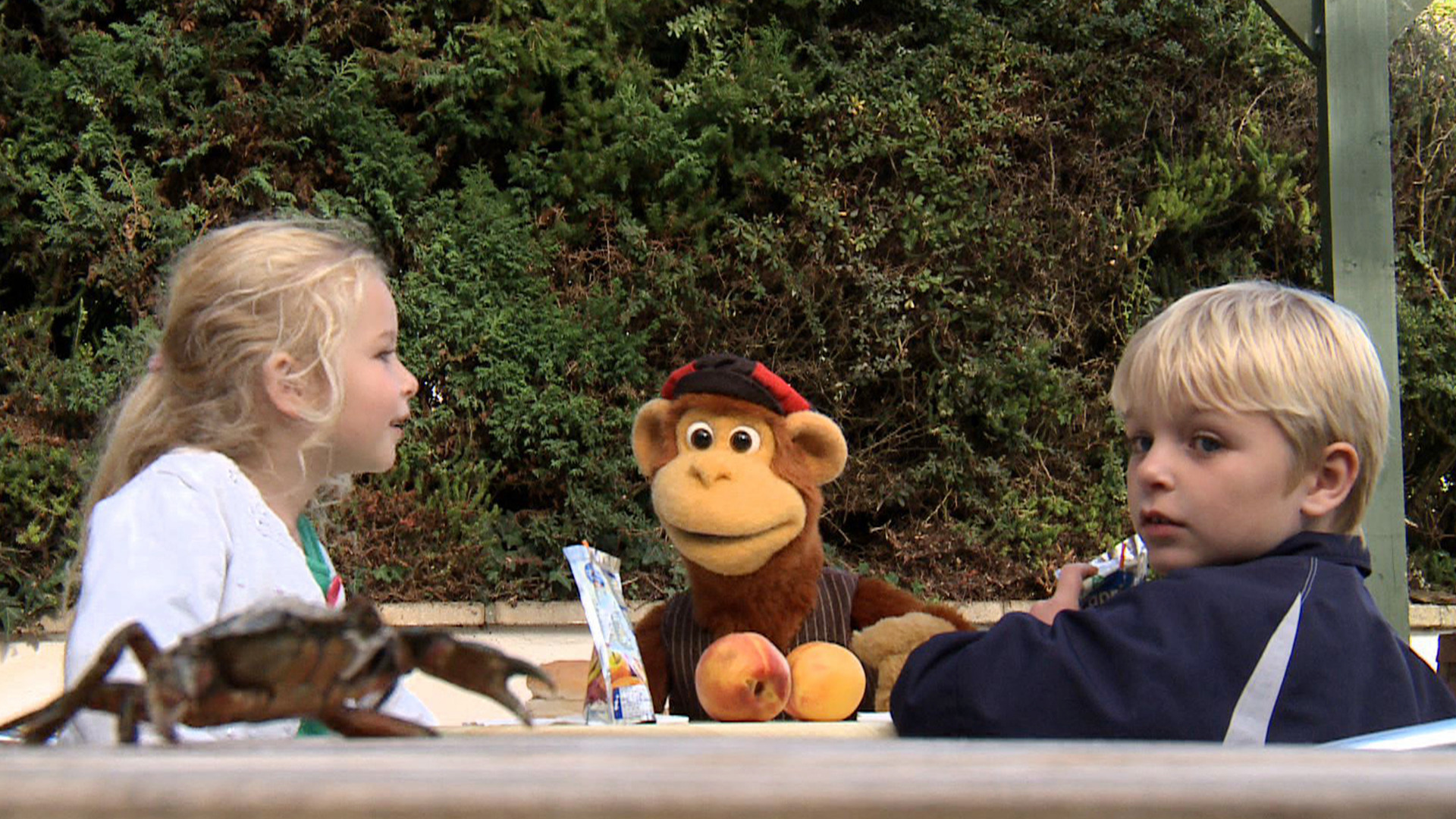 Watch Milkshake! Monkey: Milkshake! Monkey - Rock Pool - Full Show on ...