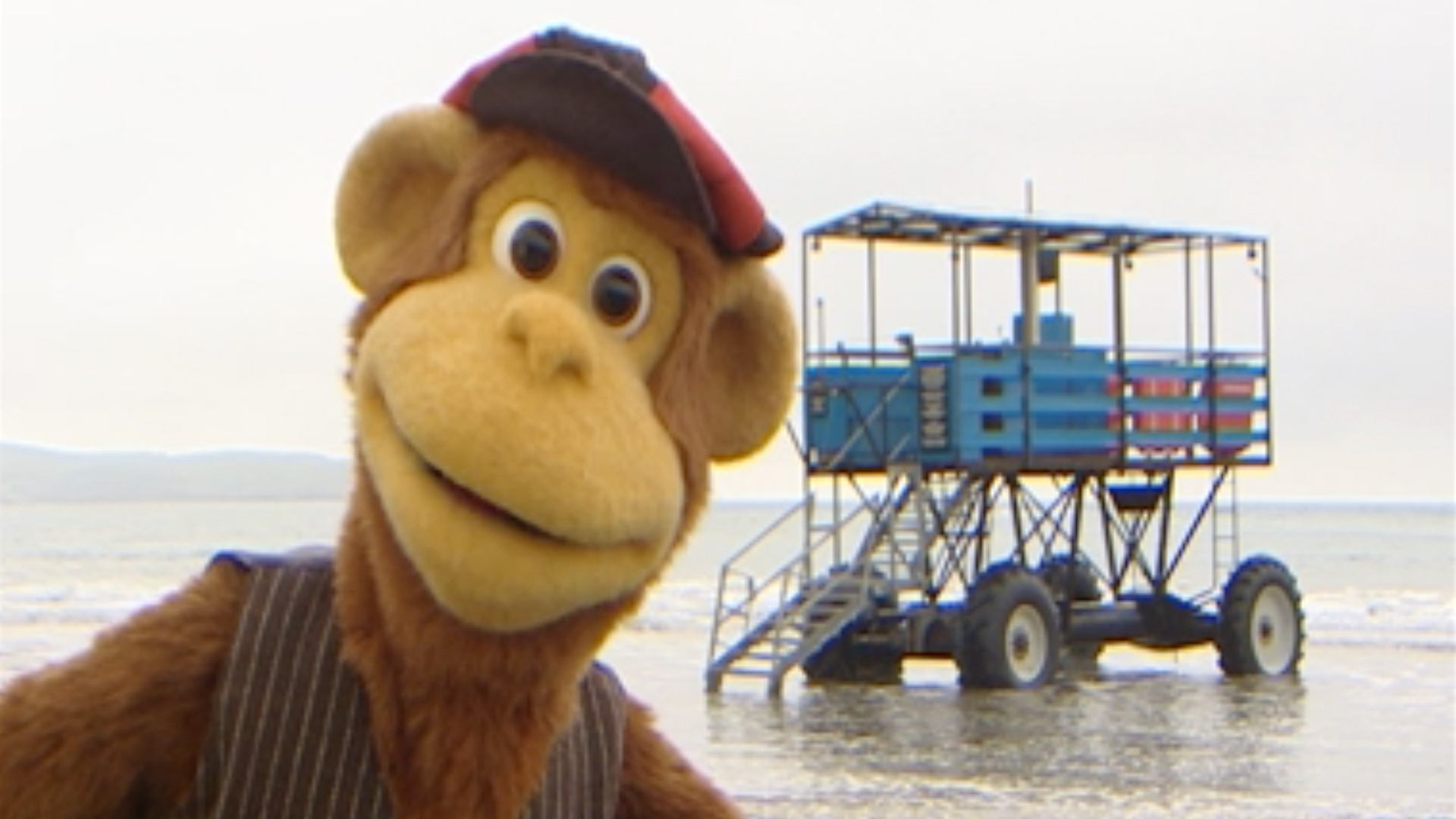 Watch Milkshake! Monkey: Milkshake! Monkey - Sea Tractor - Full Show on Paramount+ Ireland