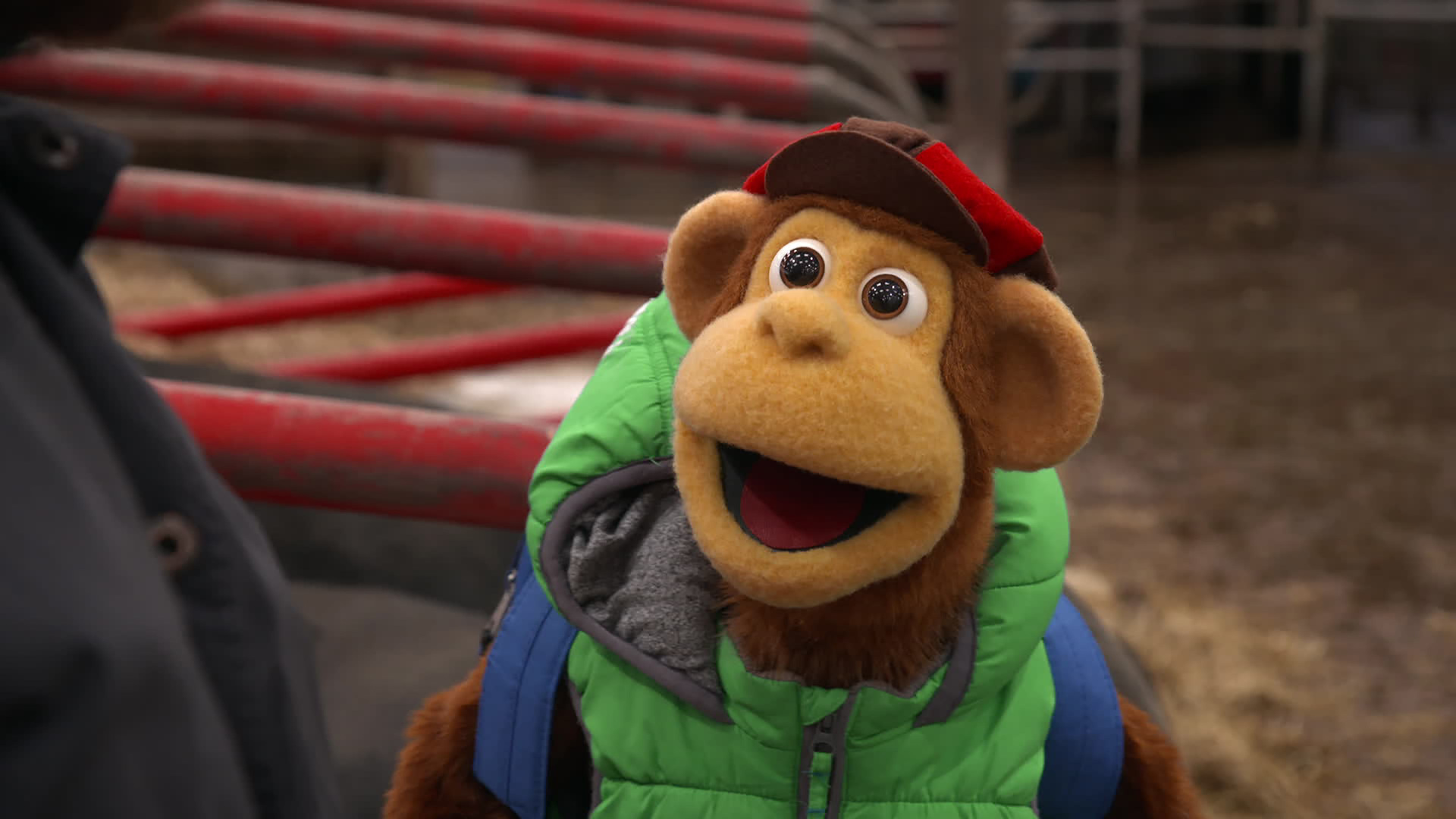 Watch Milkshake! Monkey's Amazing Adventures Season 2 Episode 4: Cows ...