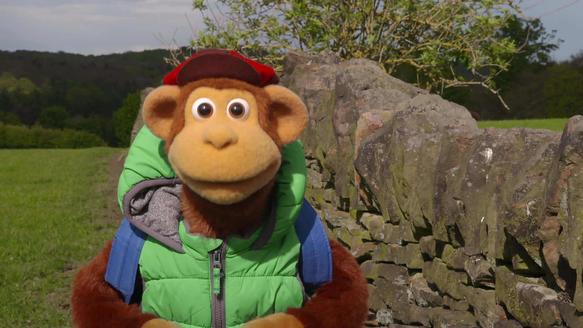 Watch Milkshake! Monkey's Amazing Adventures: Milkshake! Monkey's ...