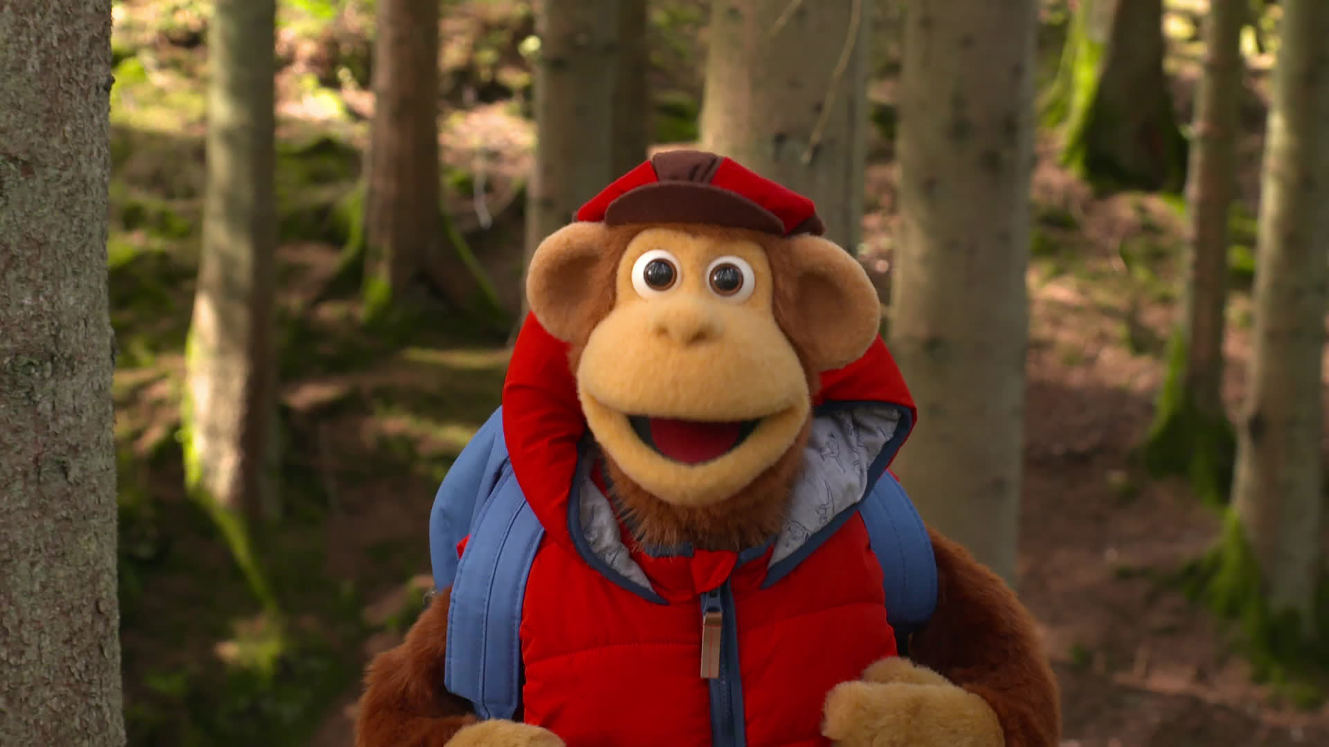 Watch Milkshake! Monkey's Amazing Adventures: Milkshake! Monkey's ...