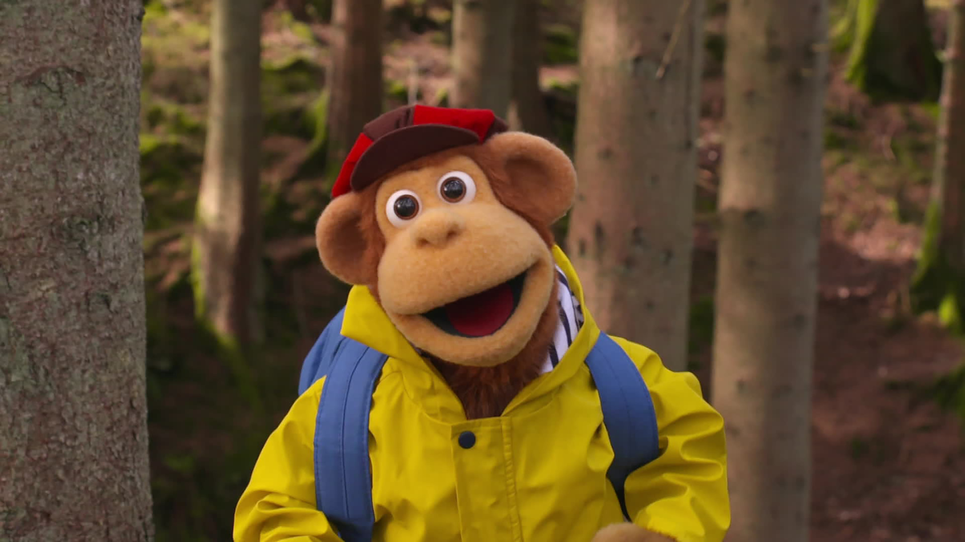 Watch Milkshake! Monkey's Amazing Adventures: Milkshake! Monkey's ...