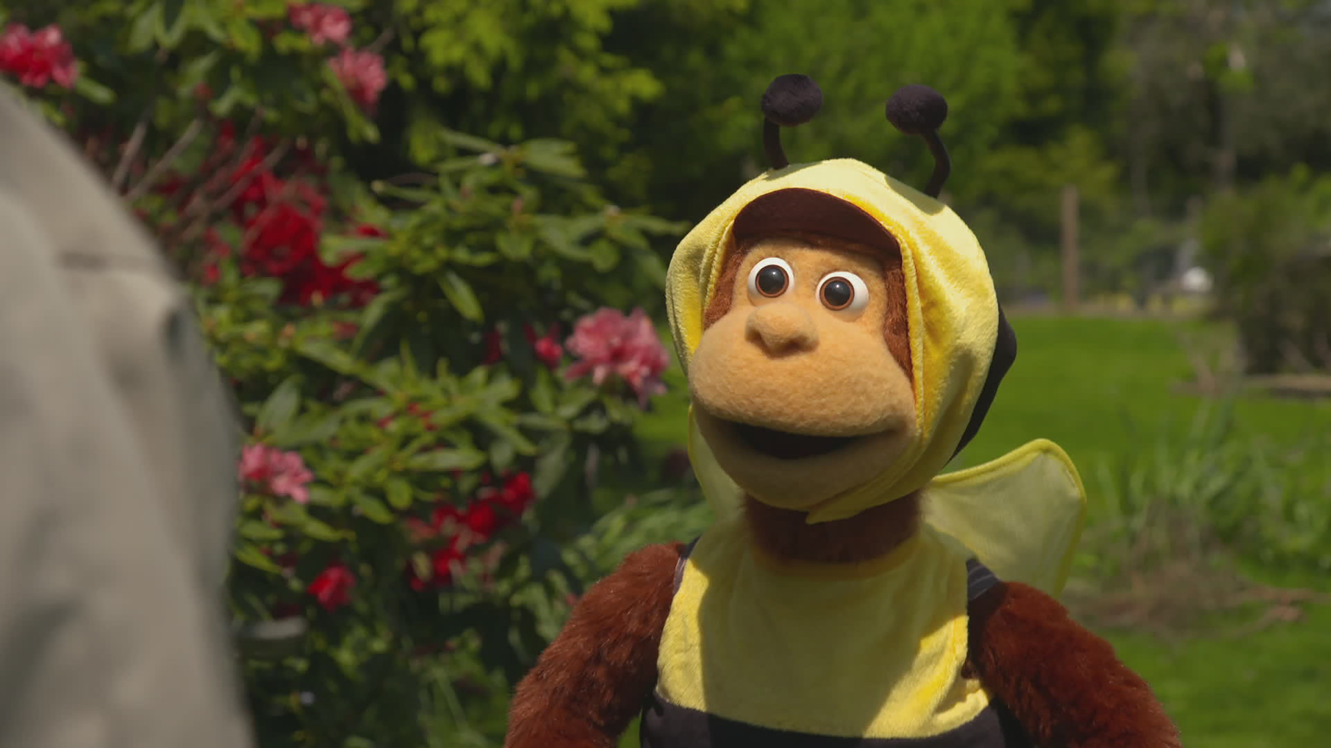 Watch Milkshake! Monkey's Amazing Adventures: Milkshake! Monkey's ...