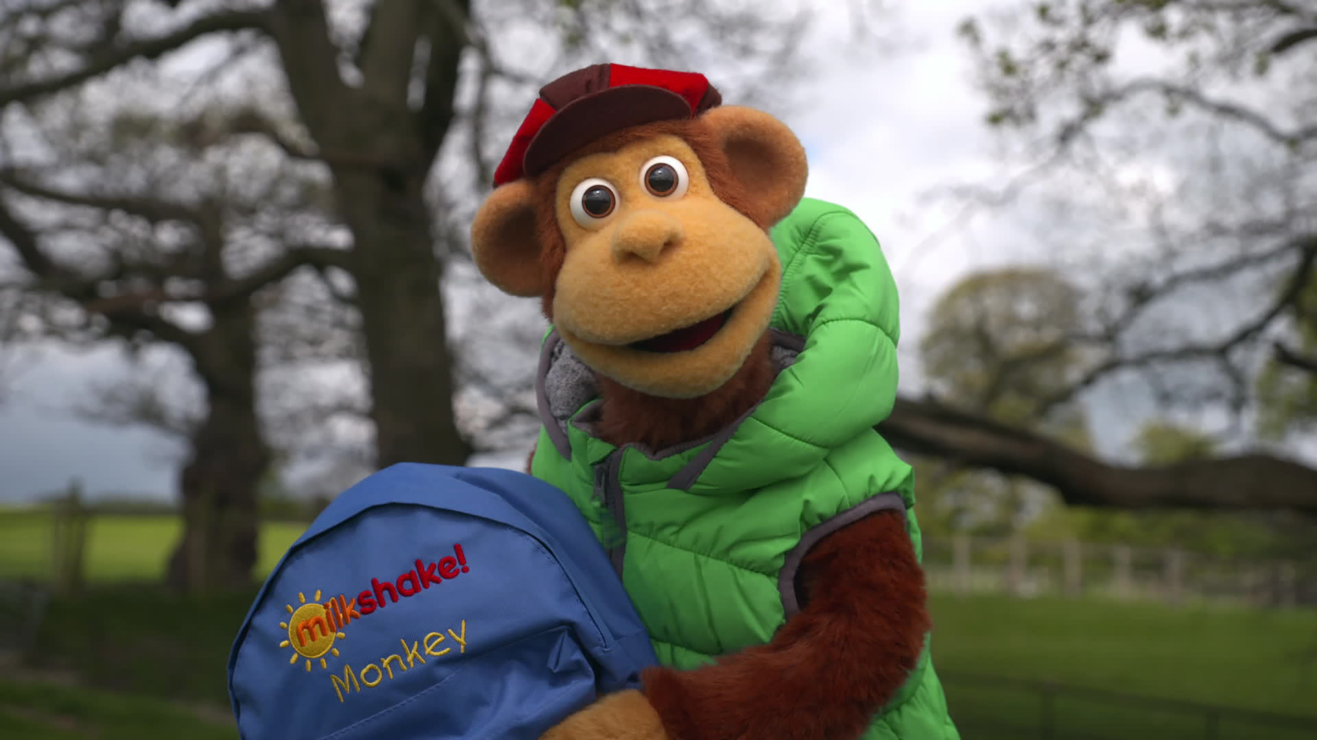 Watch Milkshake! Monkey's Amazing Adventures: Milkshake! Monkey's ...