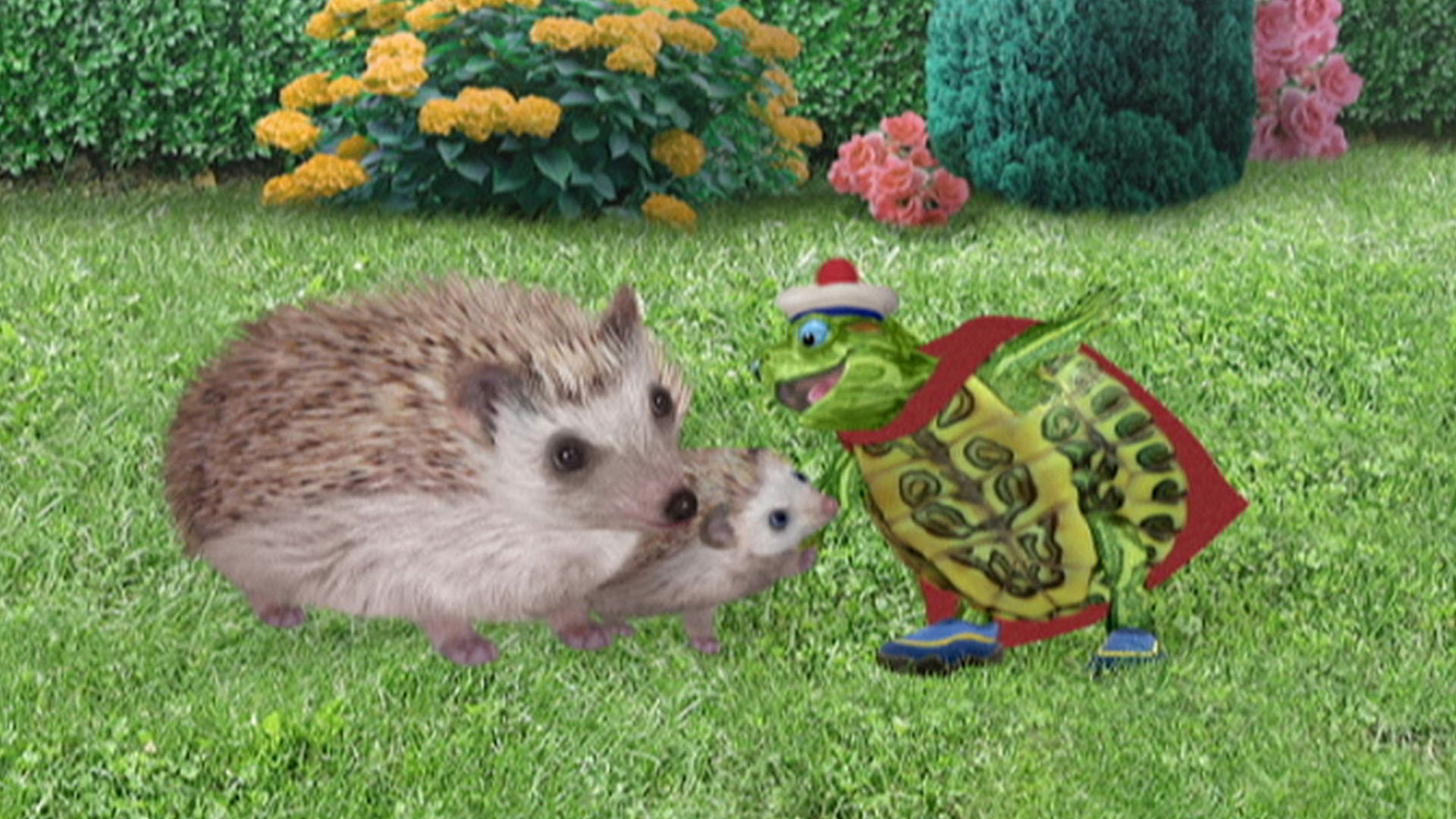 Schaue dir Die Wonder Pets Staffel 1 Folge 15: Rettet den Igel ...