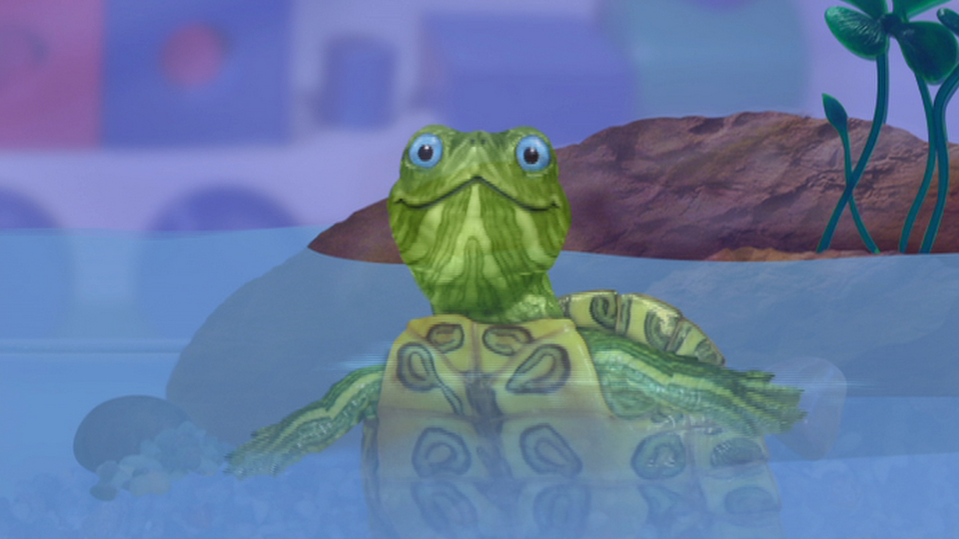 Die Wonder Pets: Die Wonder Pets - Rettet die coole Katze und das ...