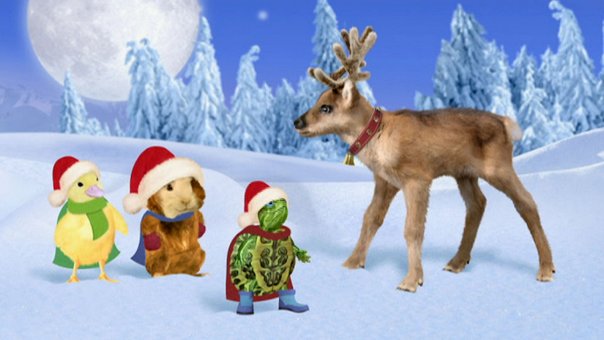 Schaue dir Die Wonder Pets Staffel 1 Folge 5: Rettet das Rentier! an ...