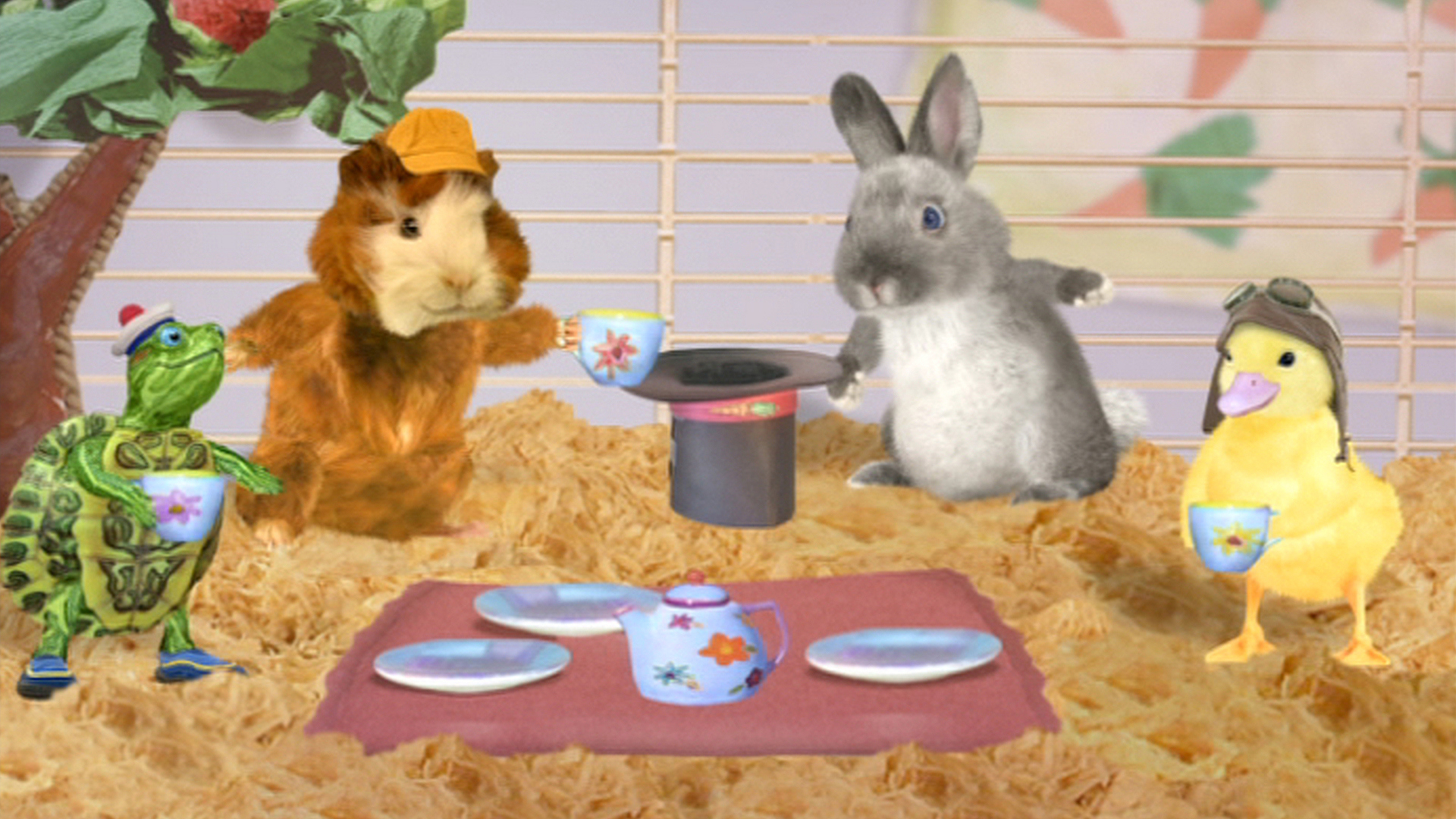 Die Wonder Pets: Die Wonder Pets - Der unglaubliche Ollie! / Rettet das ...