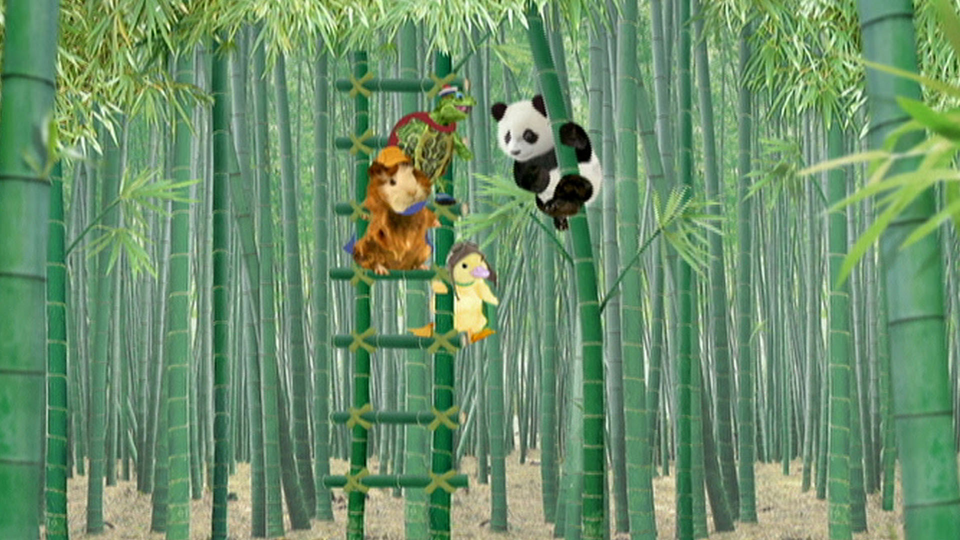 Schaue dir Die Wonder Pets Staffel 1 Folge 11: Rettet den Panda ...