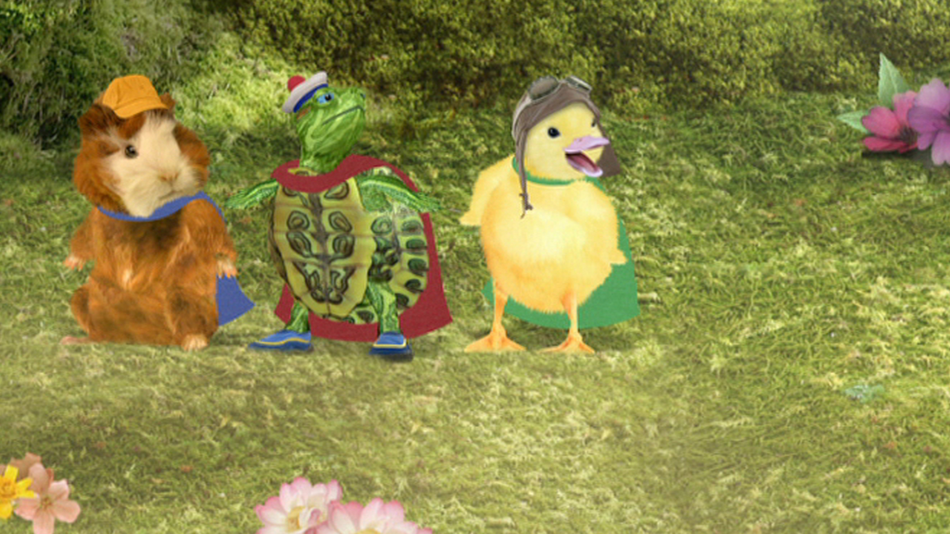 Die Wonder Pets: Die Wonder Pets - Rettet den Königstiger! schauen ...