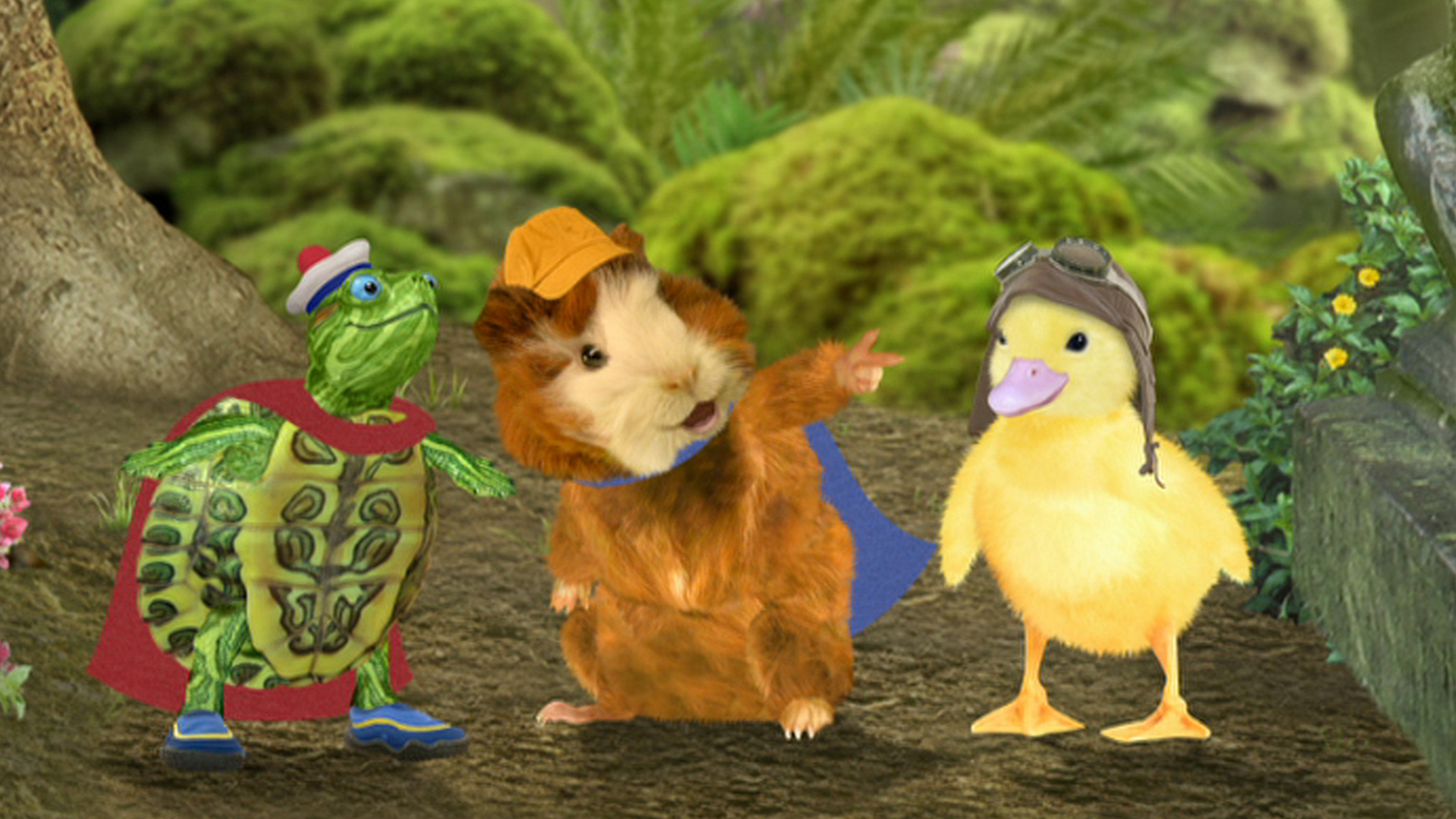 Schau Die Wonder Pets Staffel 3 Folge 18: Die Wonder Pets - Fröhlichen ...