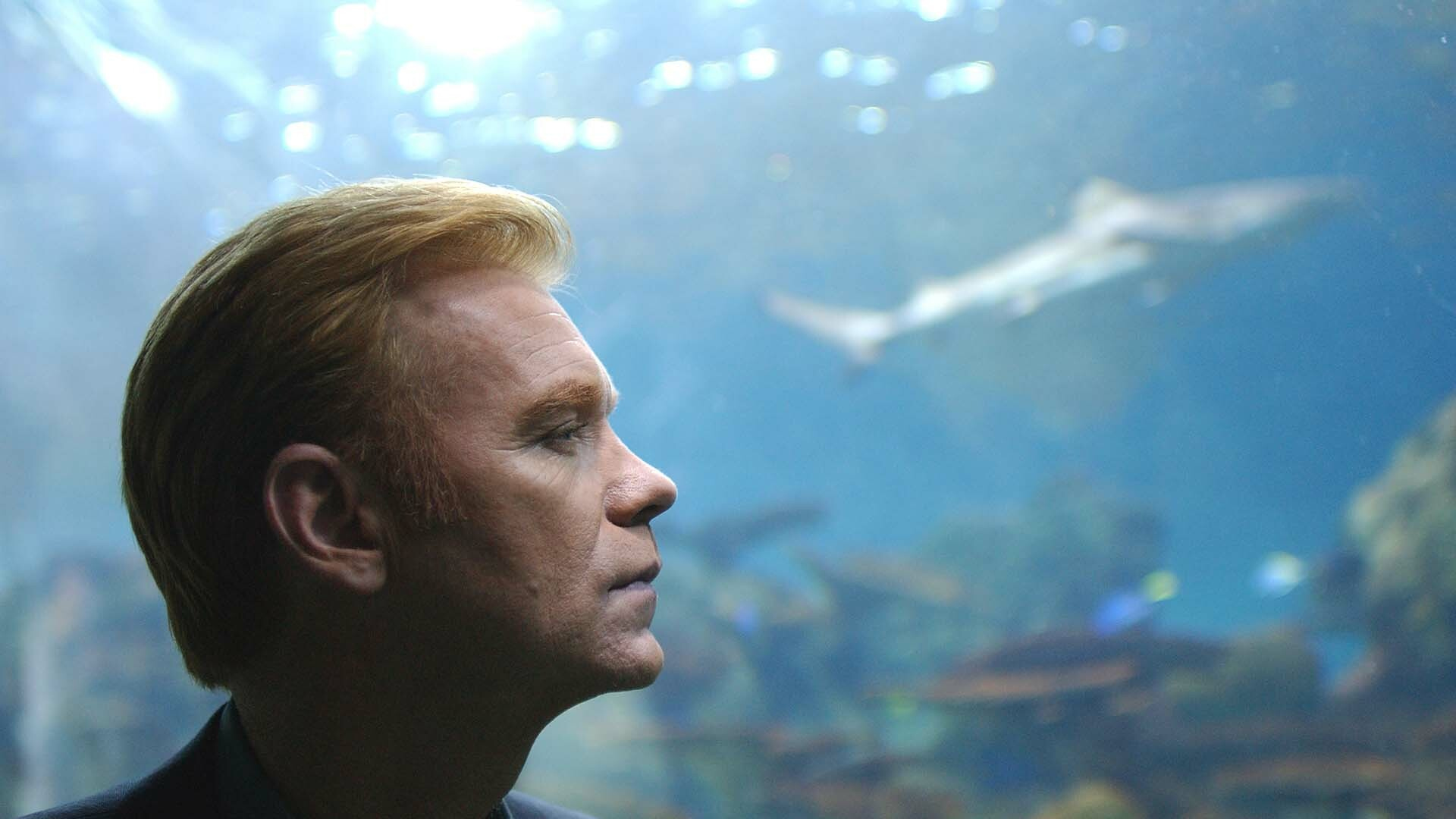 Mira CSI: Miami, temporada 1, episodio 24: Conteo de víctimas en ...