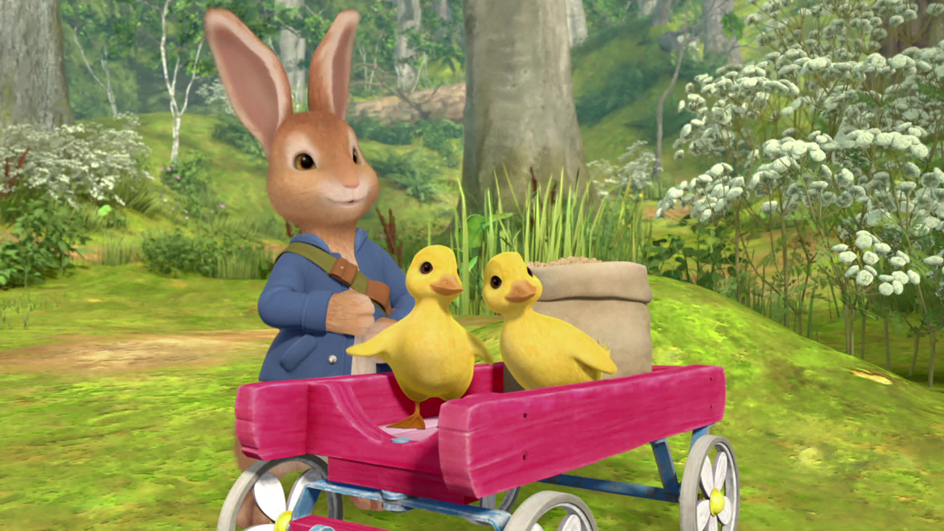 Ve Peter Rabbit: Peter Rabbit - Patitos perdidos / Ladrones hambrientos ...
