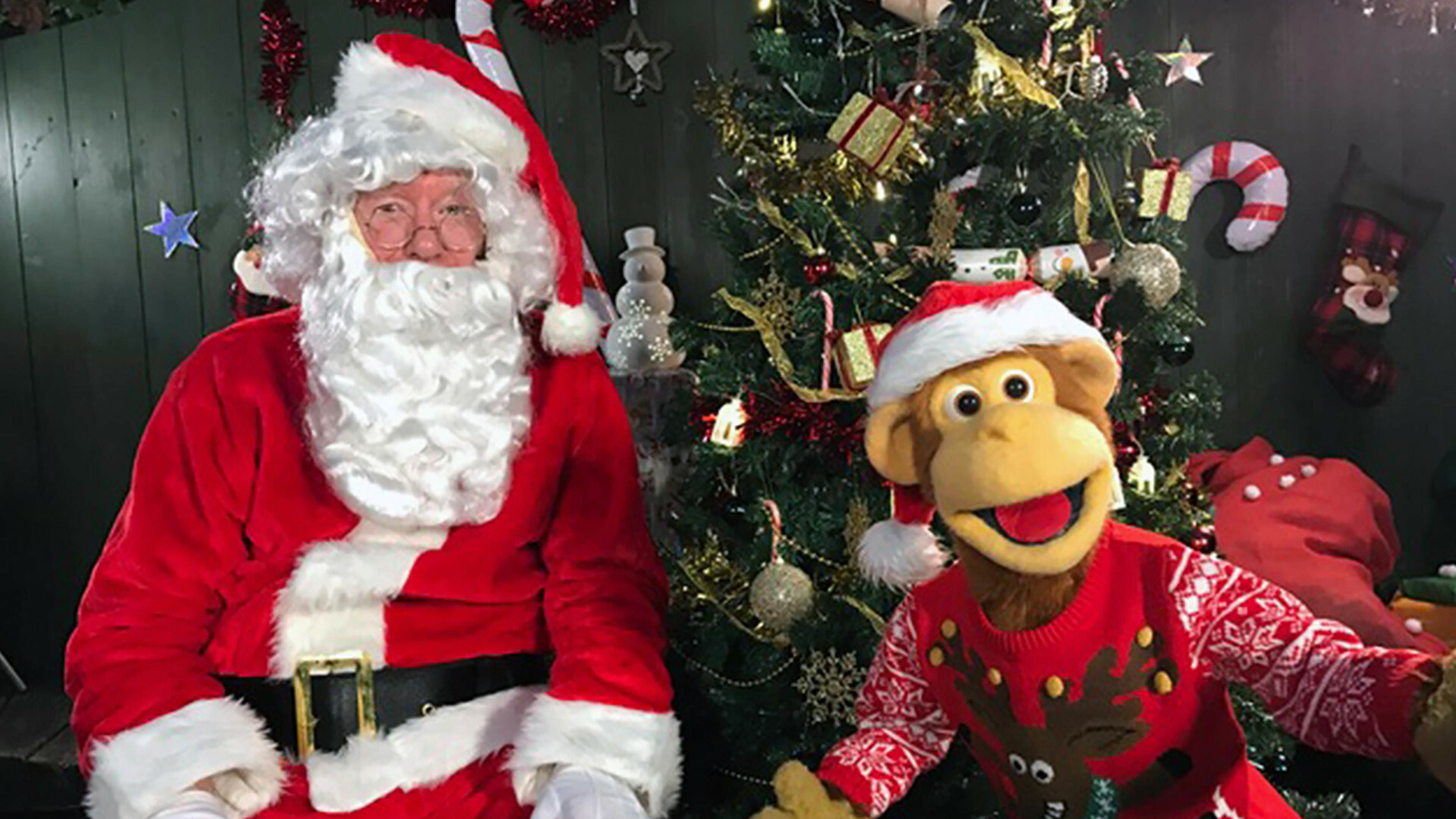 Watch Milkshake Festive Fun: Milkshake Festive Fun - Christmas Wishes ...