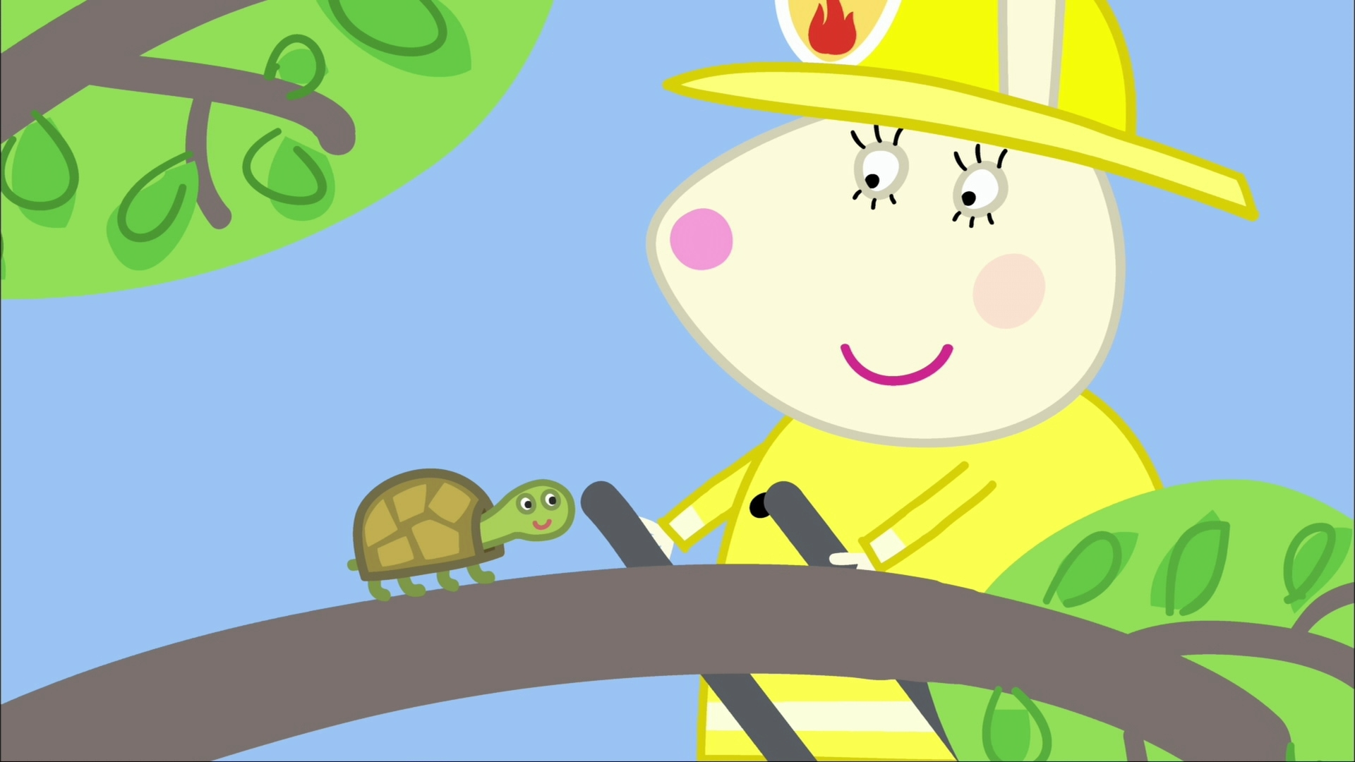 Watch Peppa Pig: Peppa Pig - Doctor Hamster's Tortoise - Full Show on ...