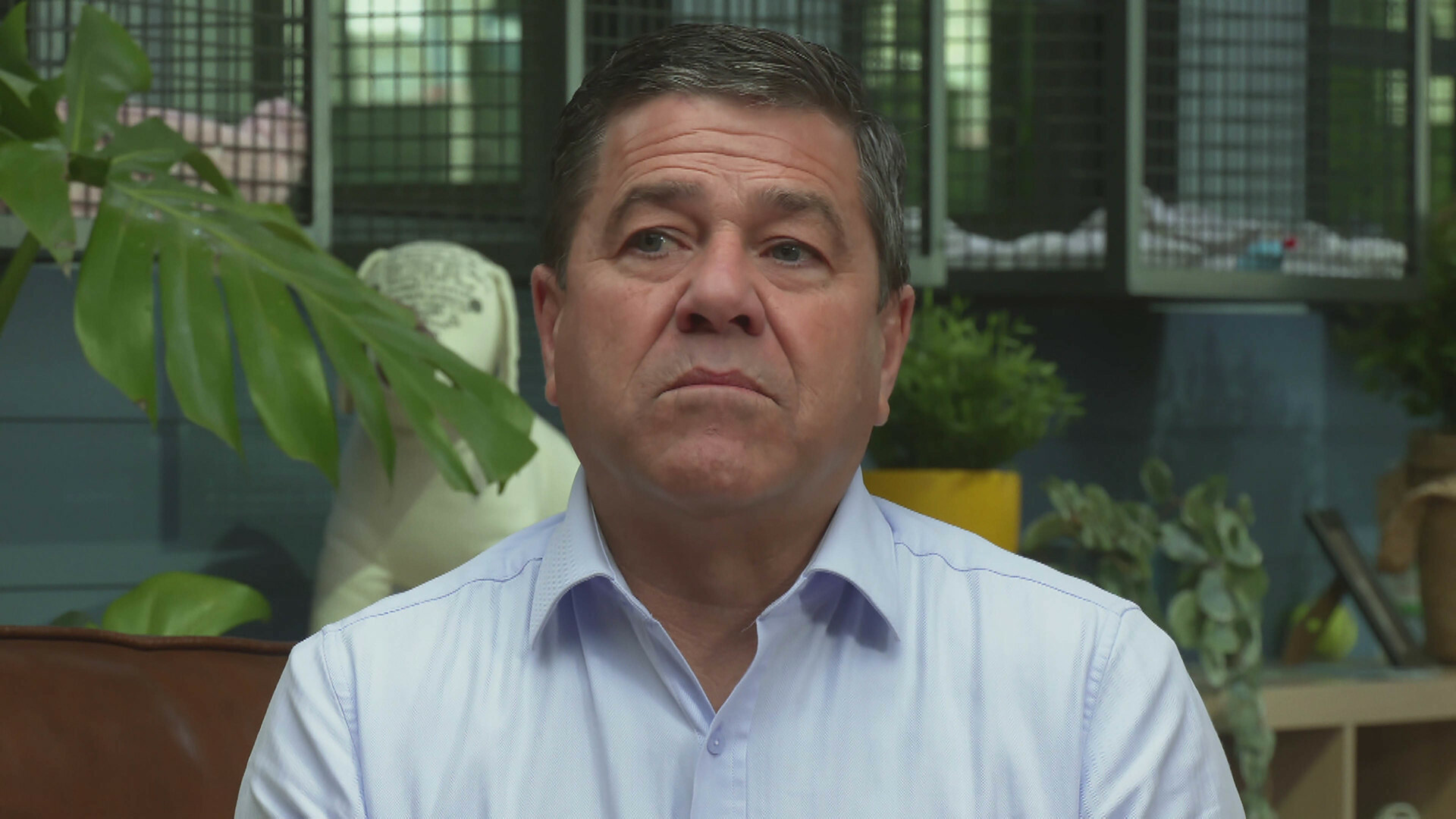 Watch The Dog House Australia Season 3 Episode 5: Ep.5 - Paramount+ ...
