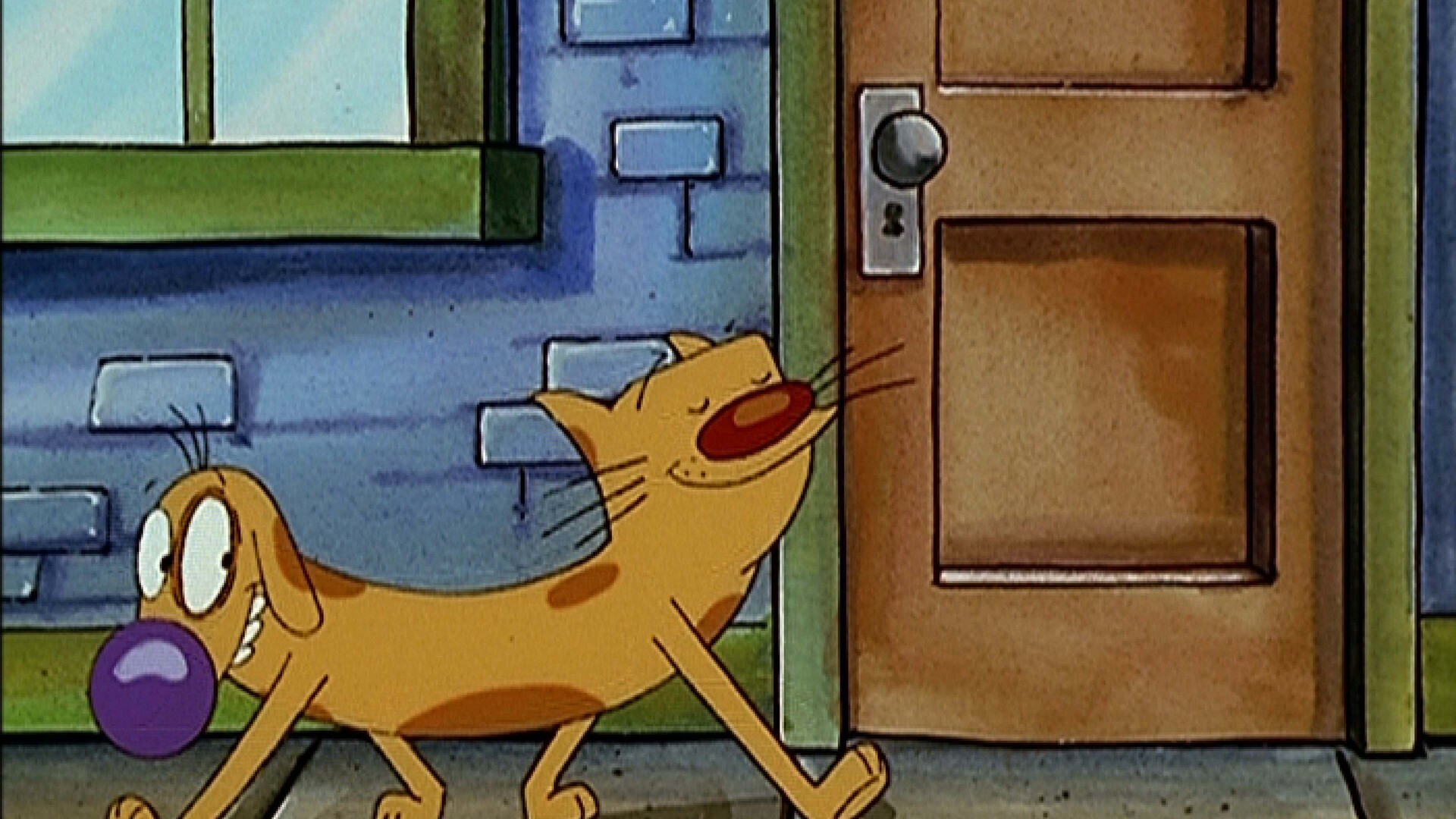 Ve CatDog: CatDog - Perro bombero / Espectáculo de perro. Disfruta la ...