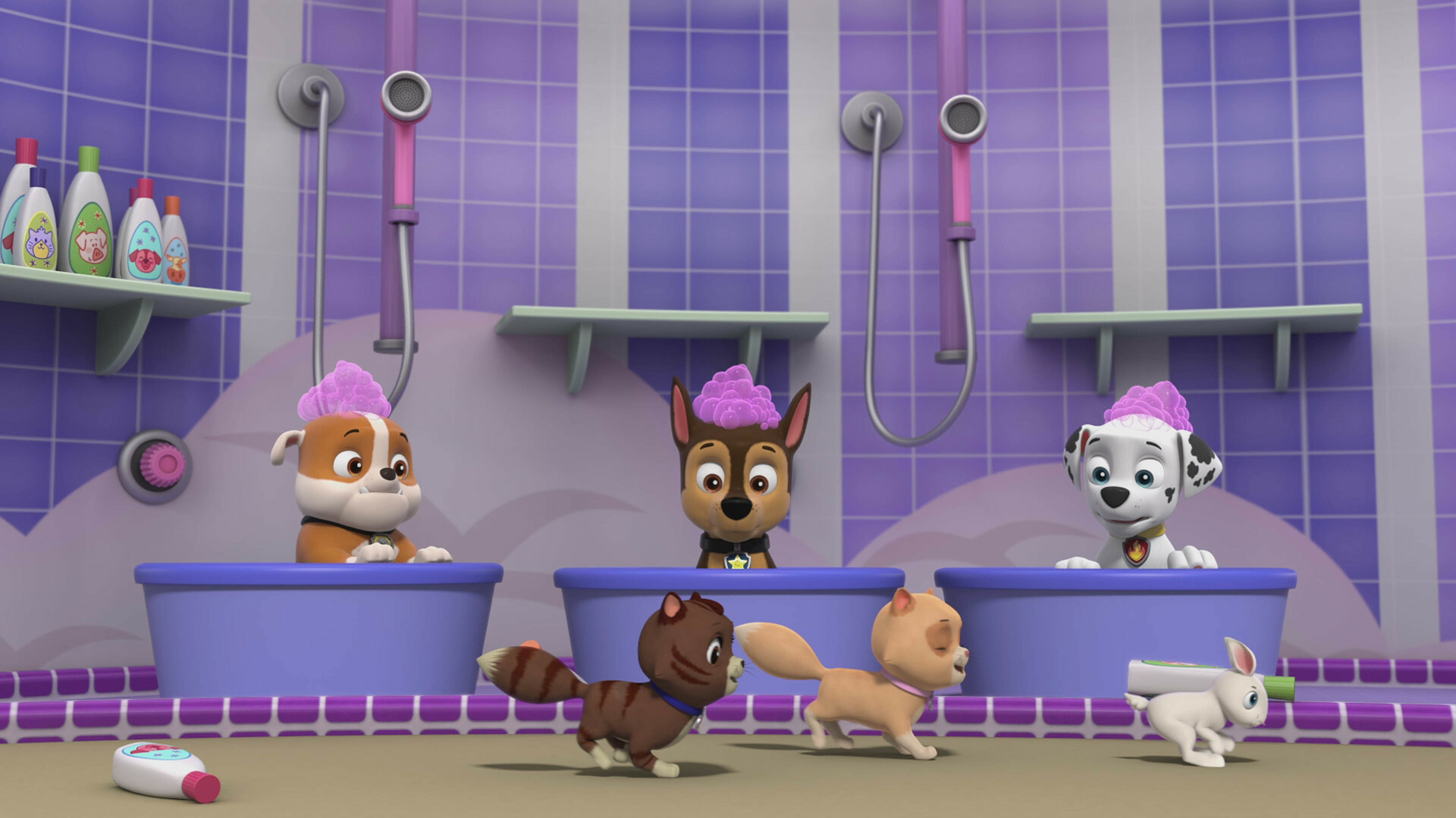 Ve PAW Patrol: Patrulla de Cachorros: PAW Patrol: Patrulla de Cachorros - ¡Los cachorros salvan ...