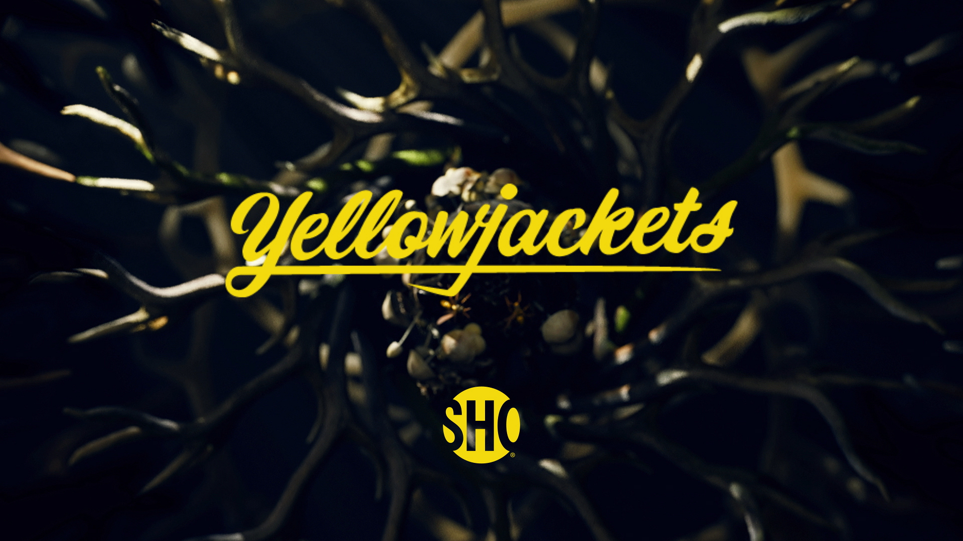 Regarder Yellowjackets YellowJackets S2 - Paramount+ France