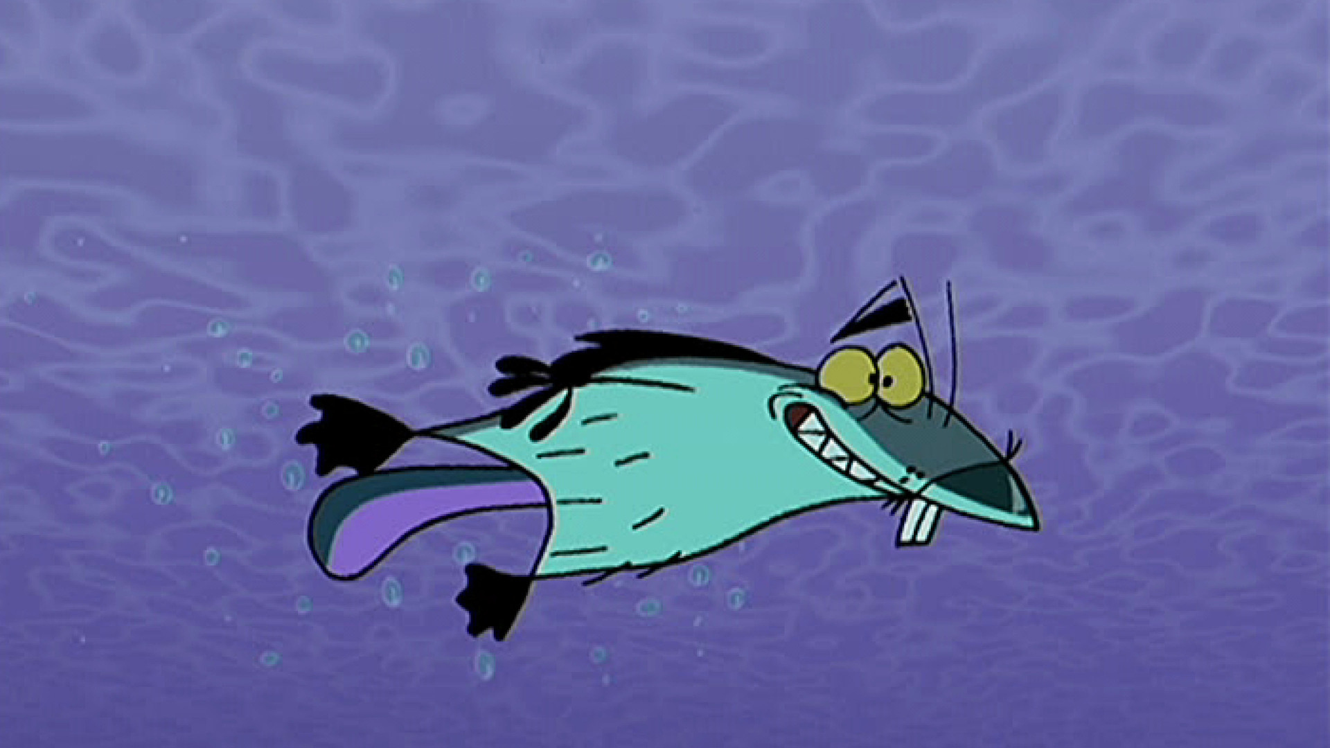 Watch The Angry Beavers: The Angry Beavers - Strange Allure/Partying Is ...