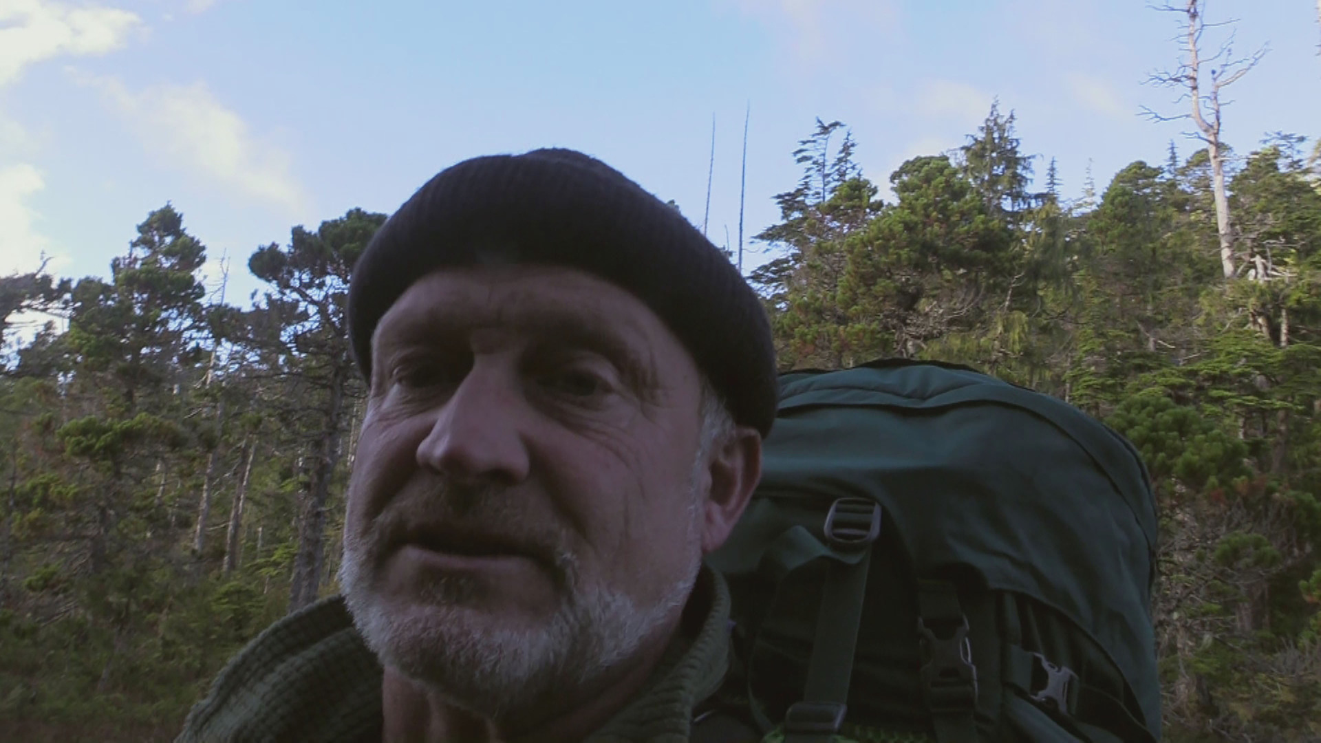 Watch Alone (US): Alone (US) - Divide and Conquer - Full Show on ...