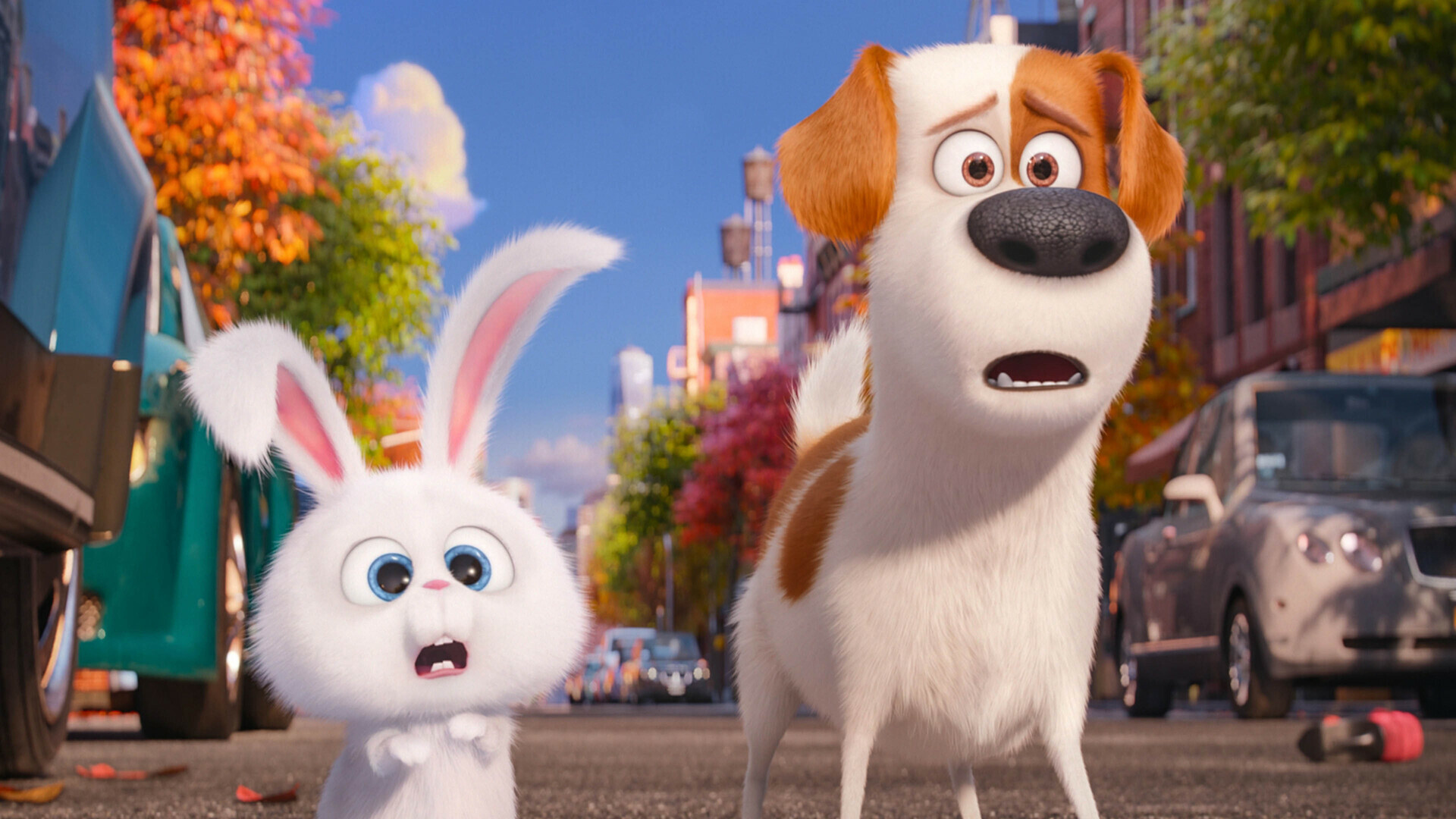 The Secret Life of Pets - Watch Full Movie on Paramount+ Australia