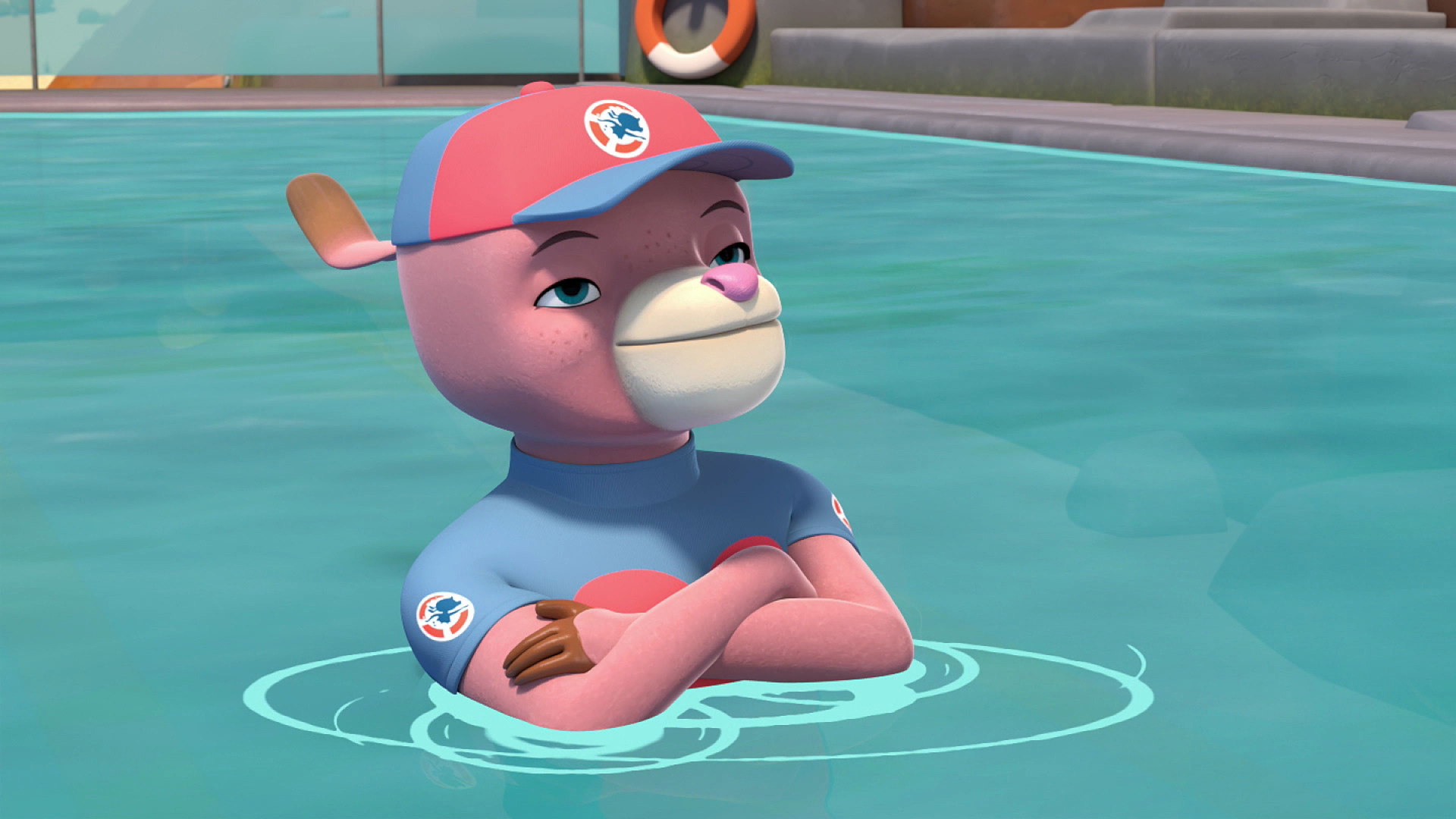 Kangaroo Swimming In Pool Ready To Dive In? Kangaroo Valley Village