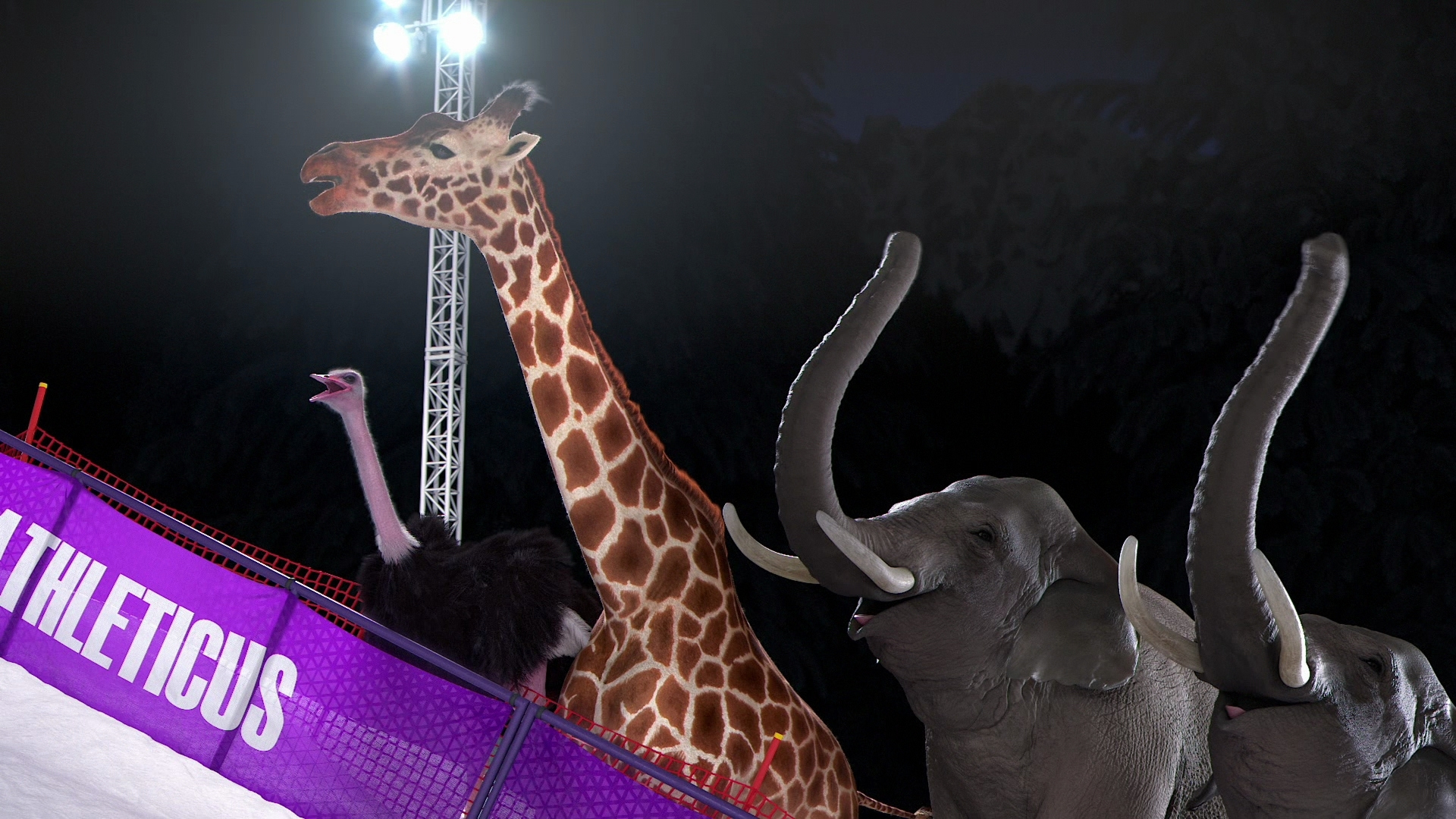 Schaue dir Athleticus Staffel 2 Folge 29: Athleticus - Buckelpiste an ...