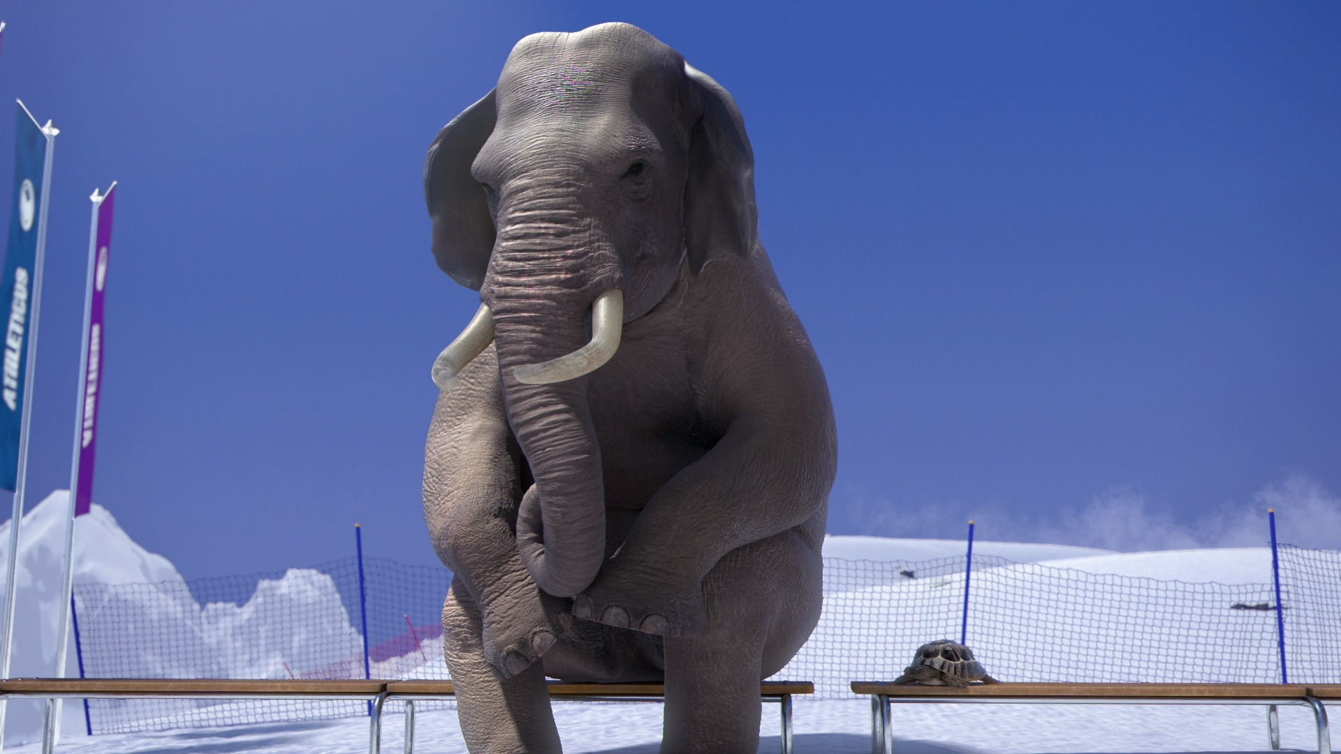 Regarder Athleticus : Athleticus - Slalom géant - Série en intégralité ...