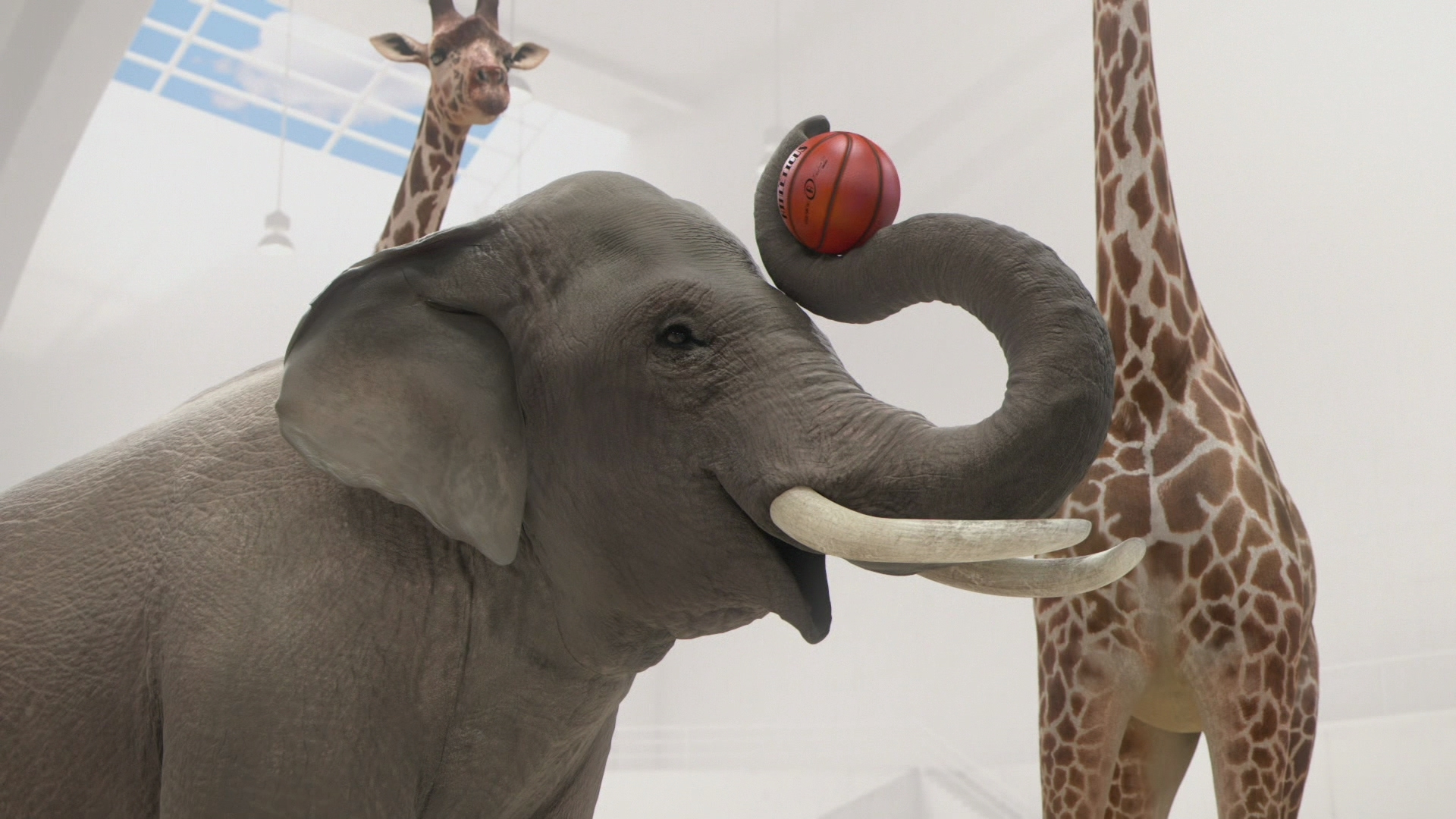 Guarda Athleticus: Athleticus - Il custode della palestra - Serie ...