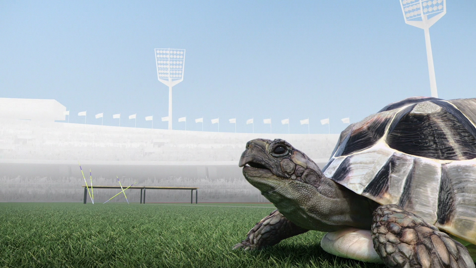 Watch Athleticus: Athleticus - Middle distance race - Full Show on ...