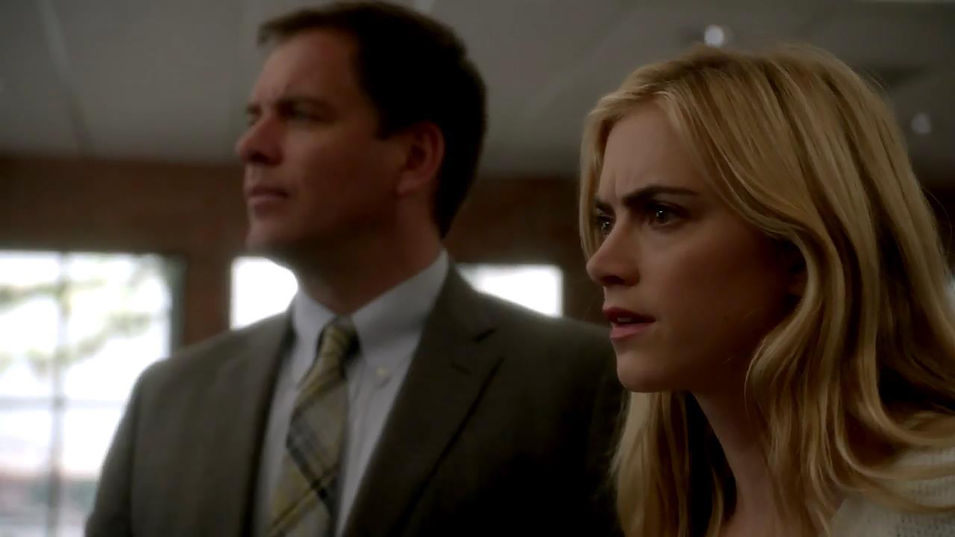 Mira NCIS, temporada 11, episodio 22: Tirador en Paramount+ Perú