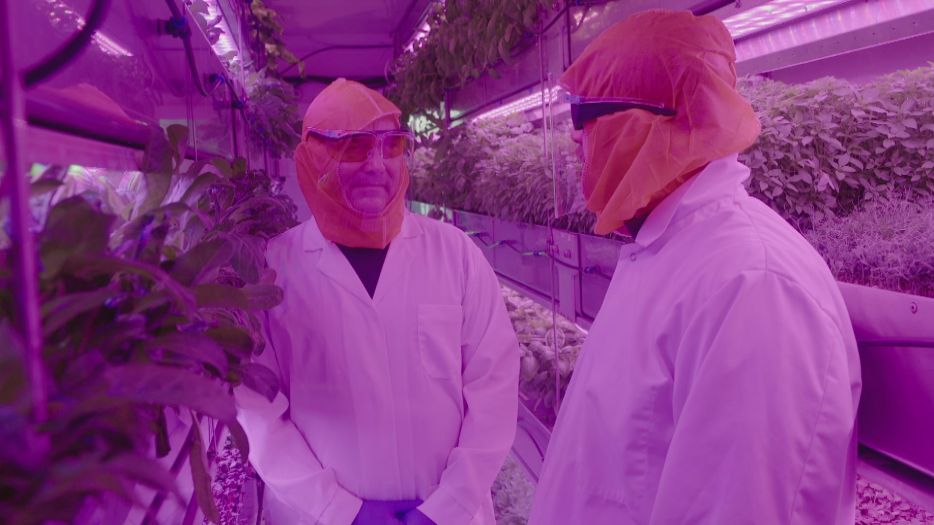 Watch Inside the Factory Season 7 Episode 7: Vegan Sausages - Paramount+