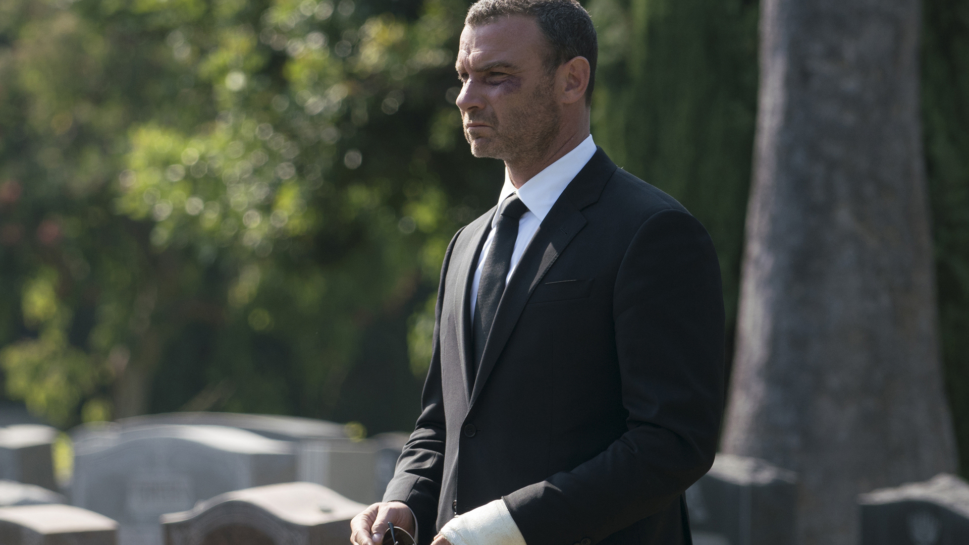 Regarder l’épisode 12, saison 5 de Ray Donovan : Time Takes a Cigarette ...